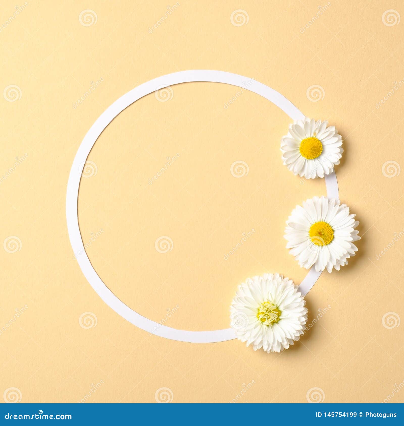 Abstract Minimal Composition. Rounded Frame Border with Daisy Flowers ...