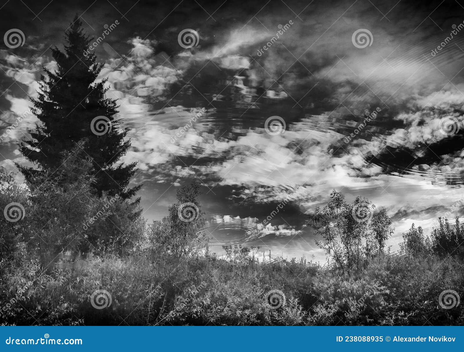 Abstract Mirror Reflection of Landscape in the Water Stock Image ...