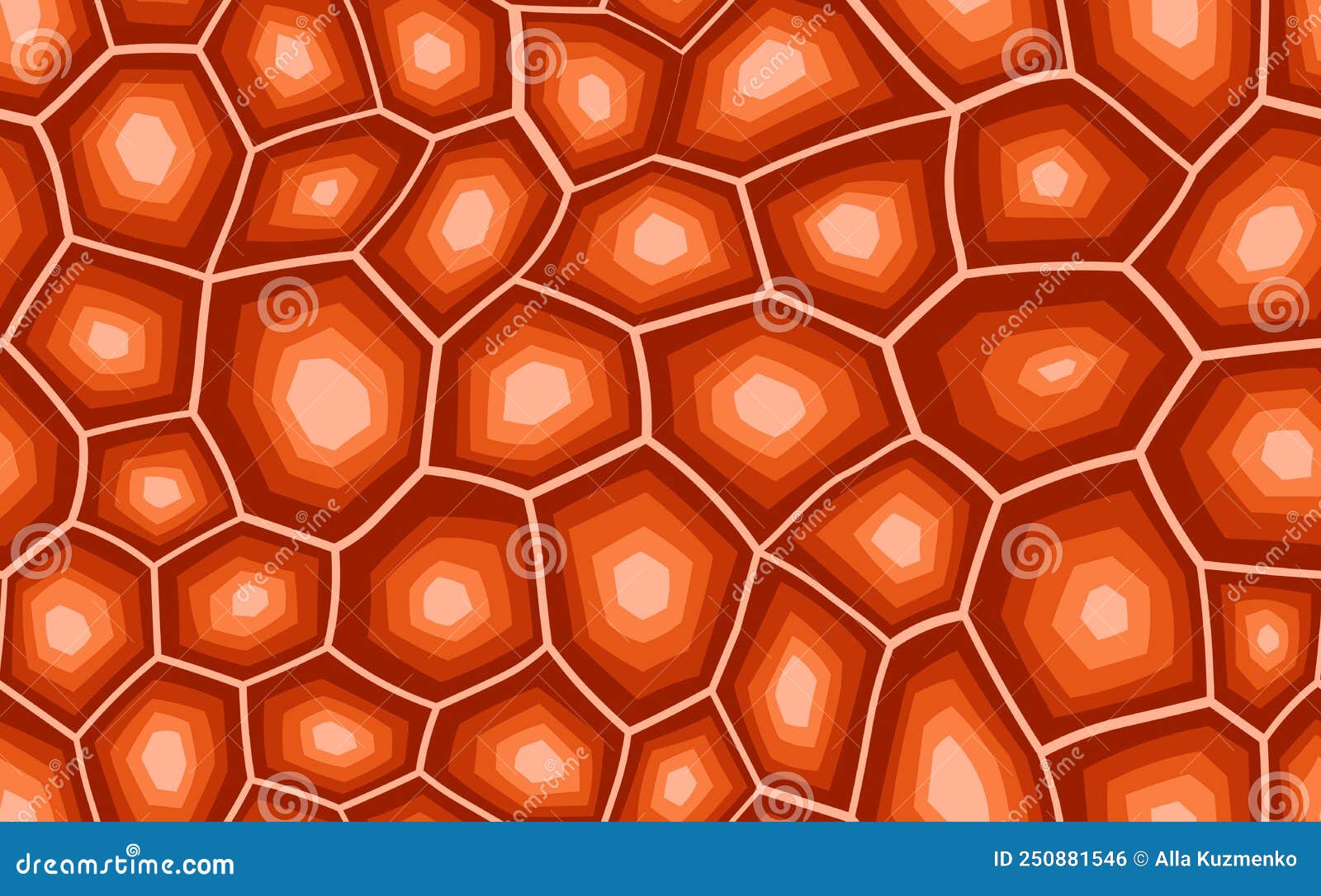 Abstract Modern Turtle Shell Seamless Pattern. Animals Trendy ...