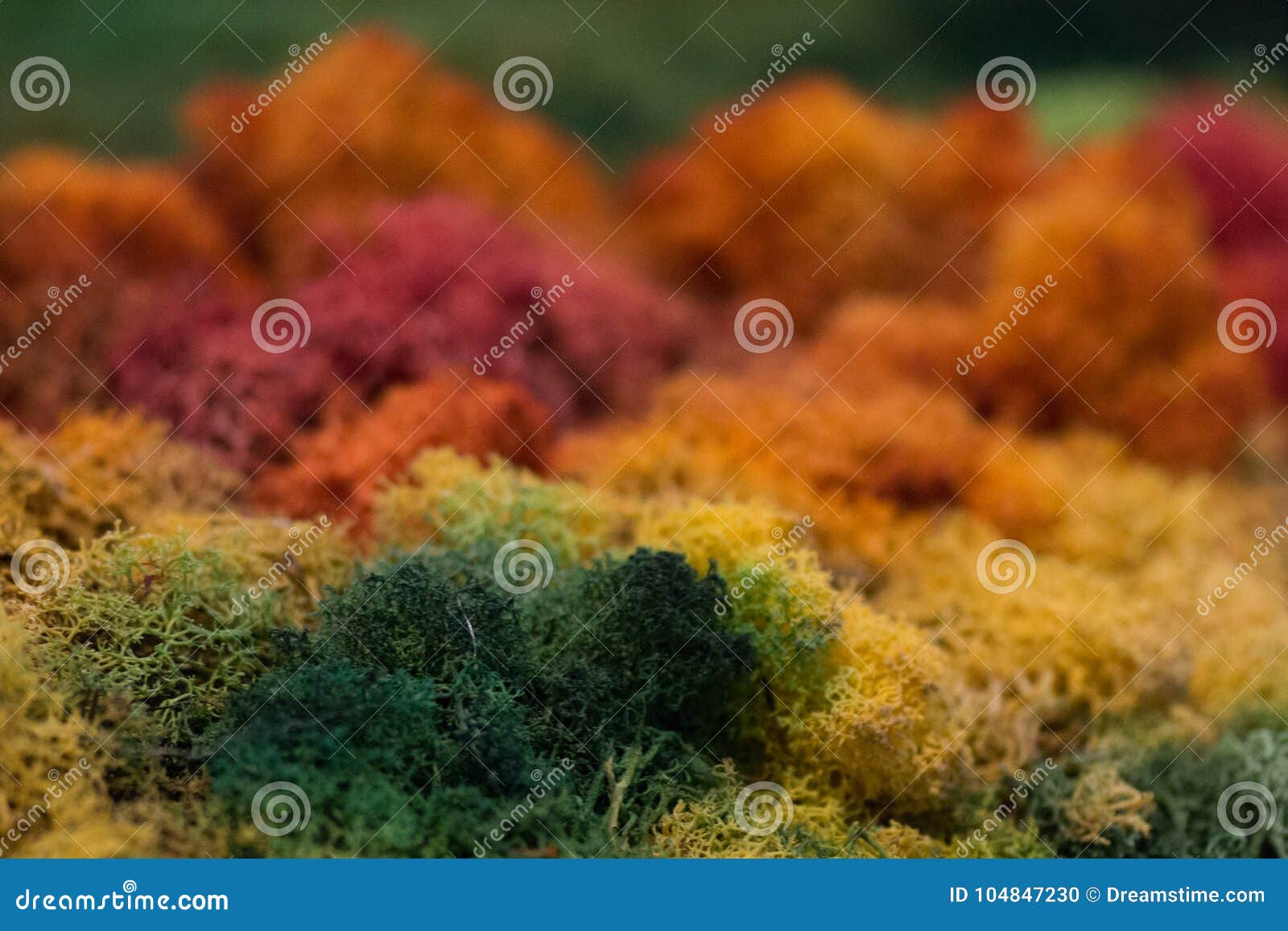 Abstract moss coloured stock photo. Image of coloured - 104847230