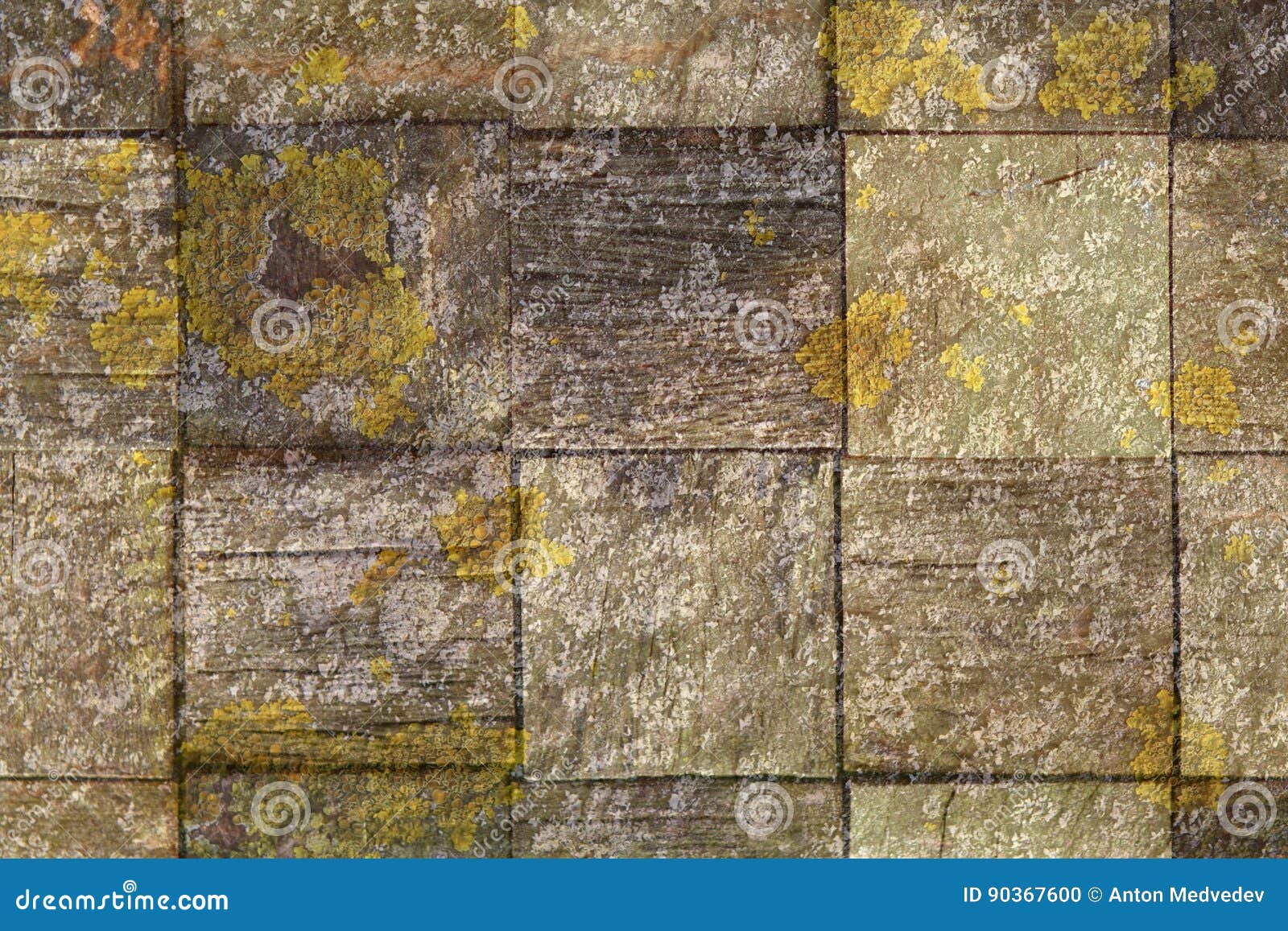 Abstract Mossy Wood Texture Stock Photo - Image of floor, abstract ...
