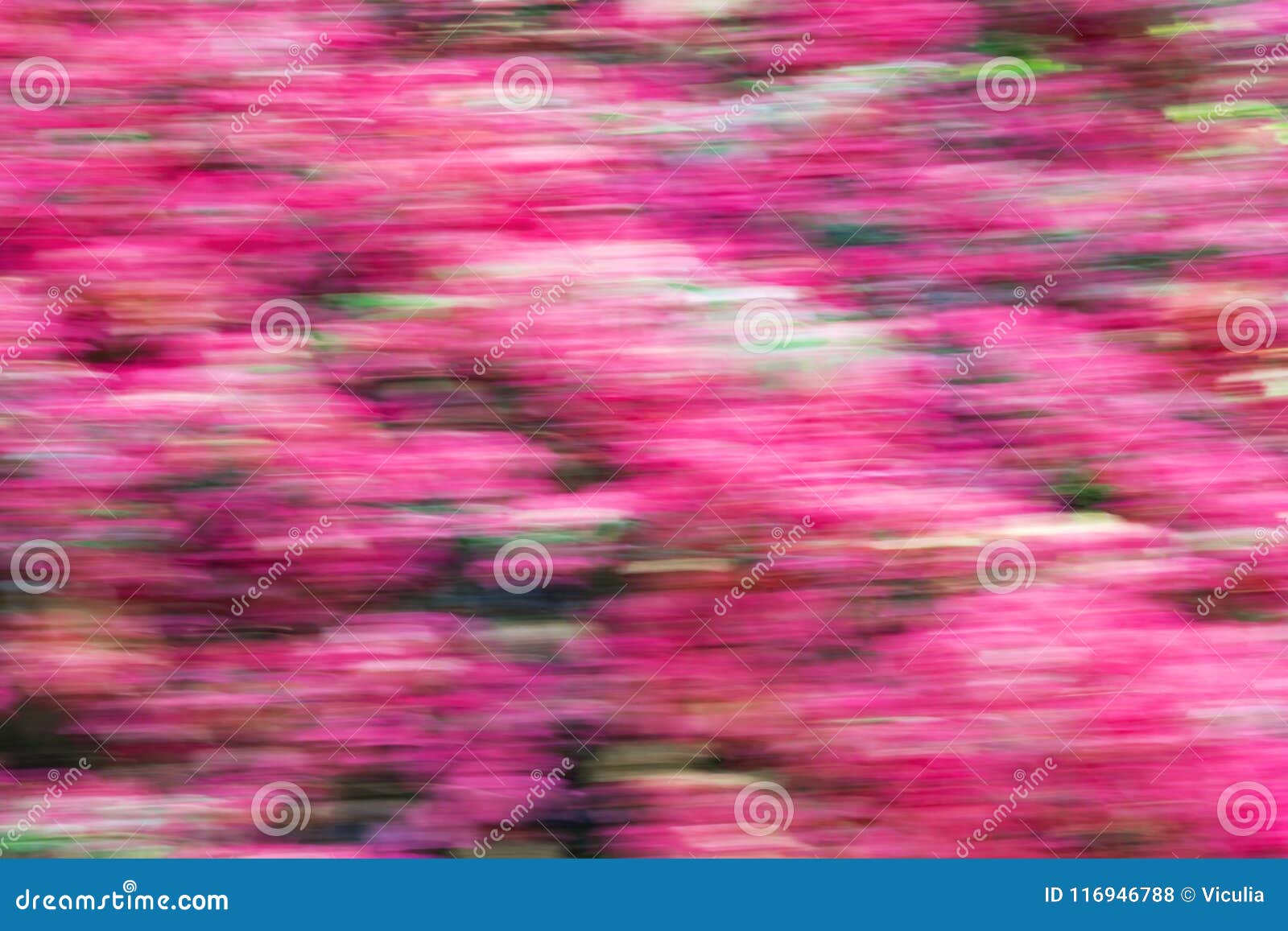 Abstract Motion Blur Effect. Spring Blurred Flowers Stock Photo - Image ...