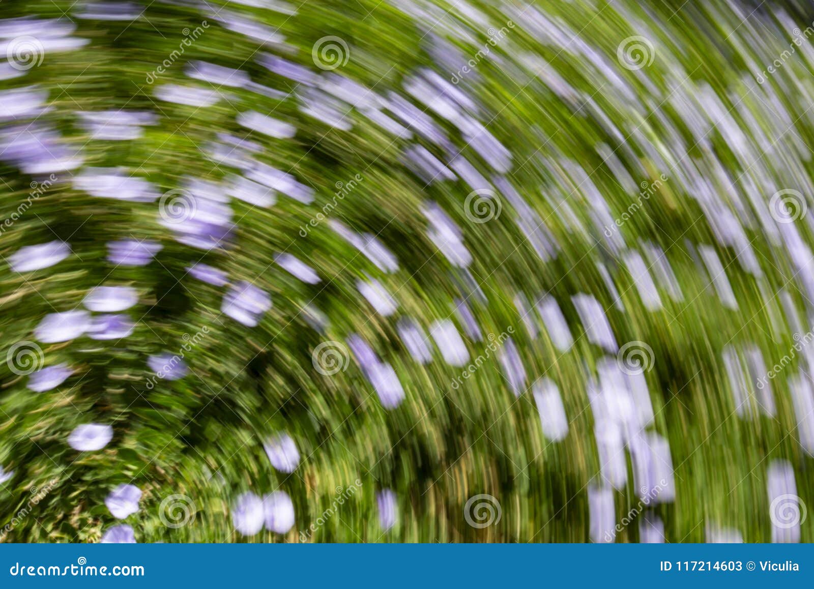 Abstract Motion Blur Effect. Spring Blurred Flowers Stock Image - Image ...