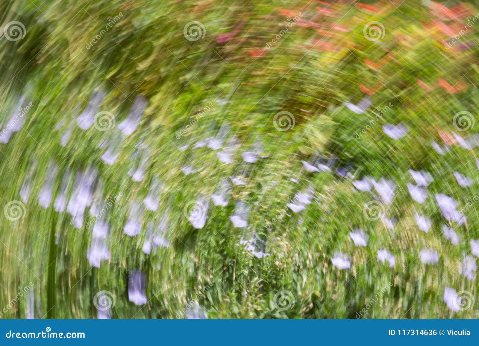 Abstract Motion Blur Effect. Spring Blurred Flowers Stock Photo - Image ...