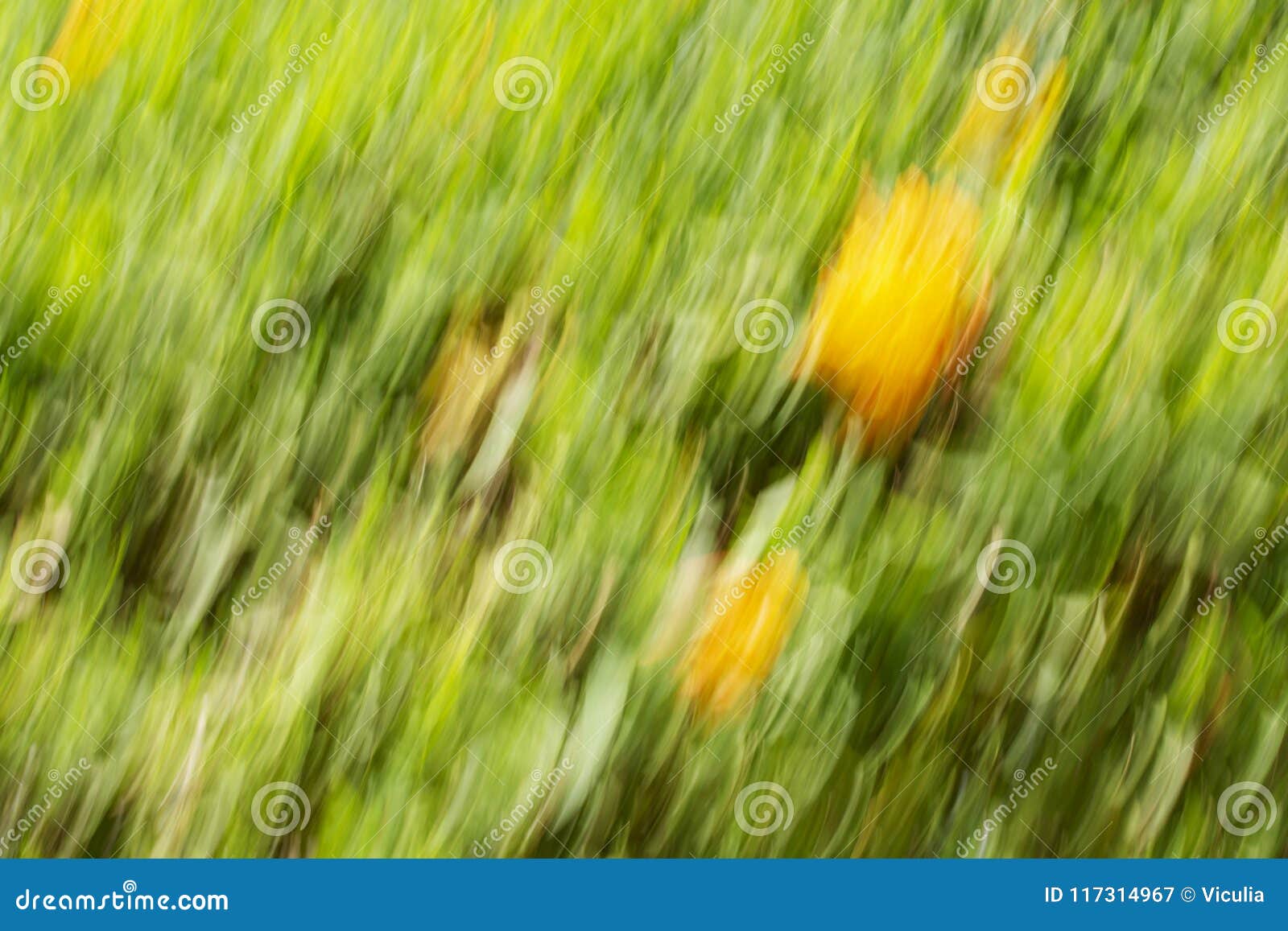 Abstract Motion Blur Effect. Spring Blurred Flowers. Stock Image ...