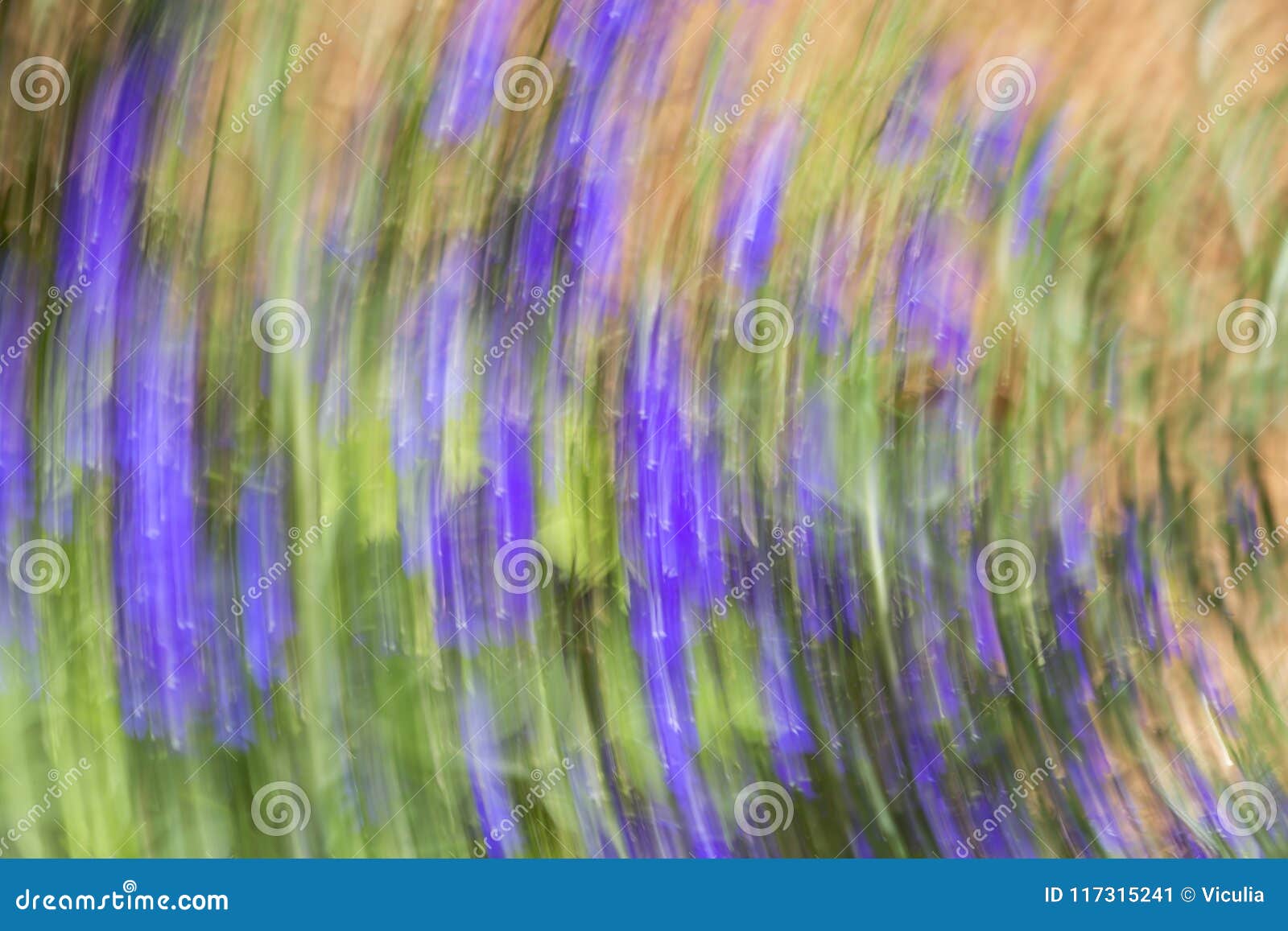 Abstract Motion Blur Effect. Spring Blurred Flowers. Stock Image ...