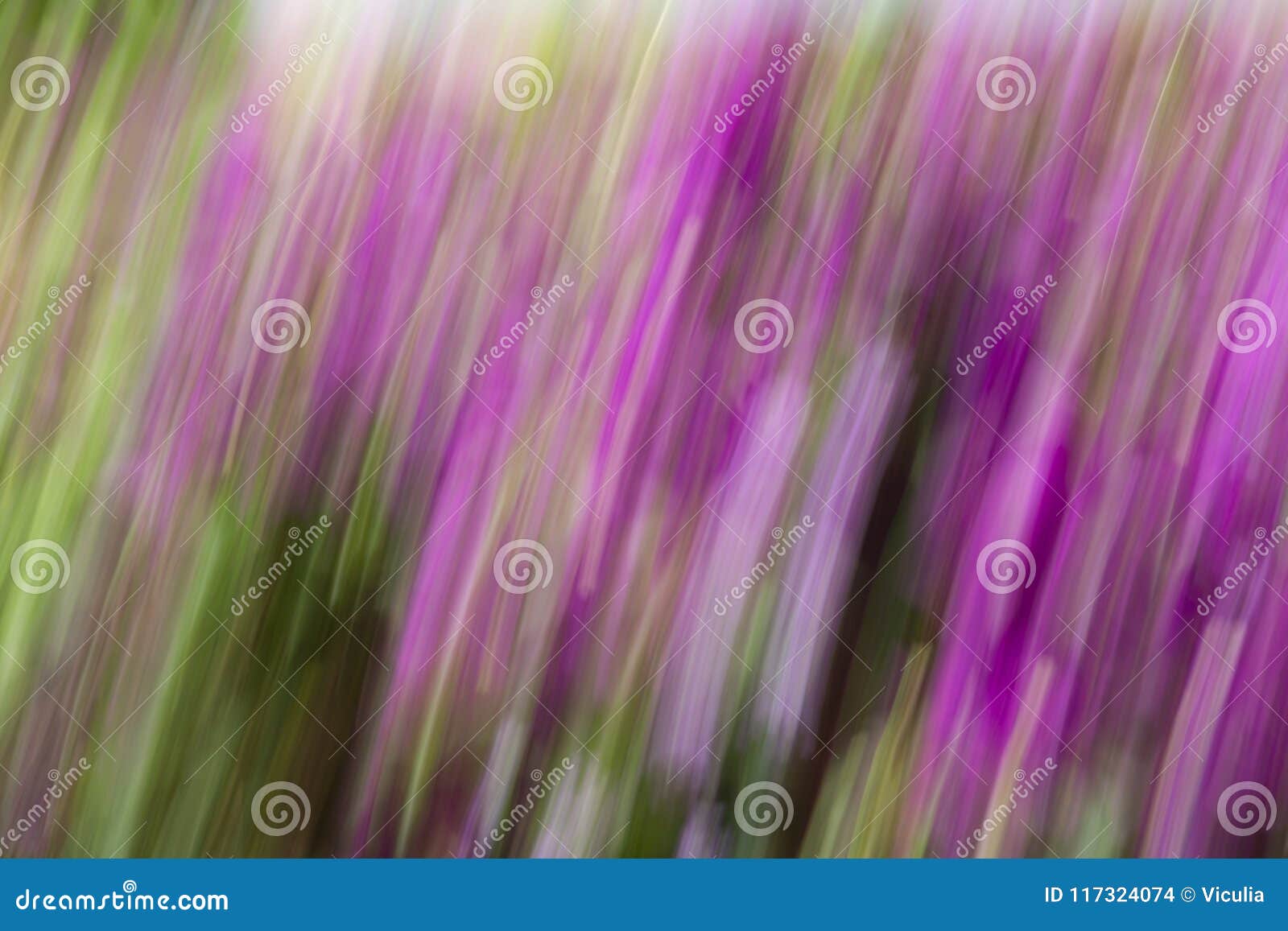Abstract Motion Blur Effect. Spring Blurred Flowers. Stock Photo ...