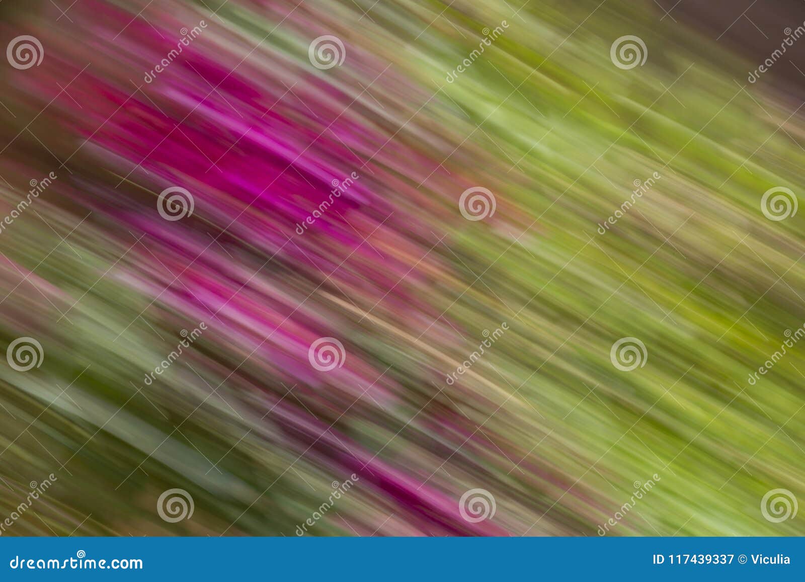 Abstract Motion Blur Effect. Spring Blurred Flowers. Stock Image ...