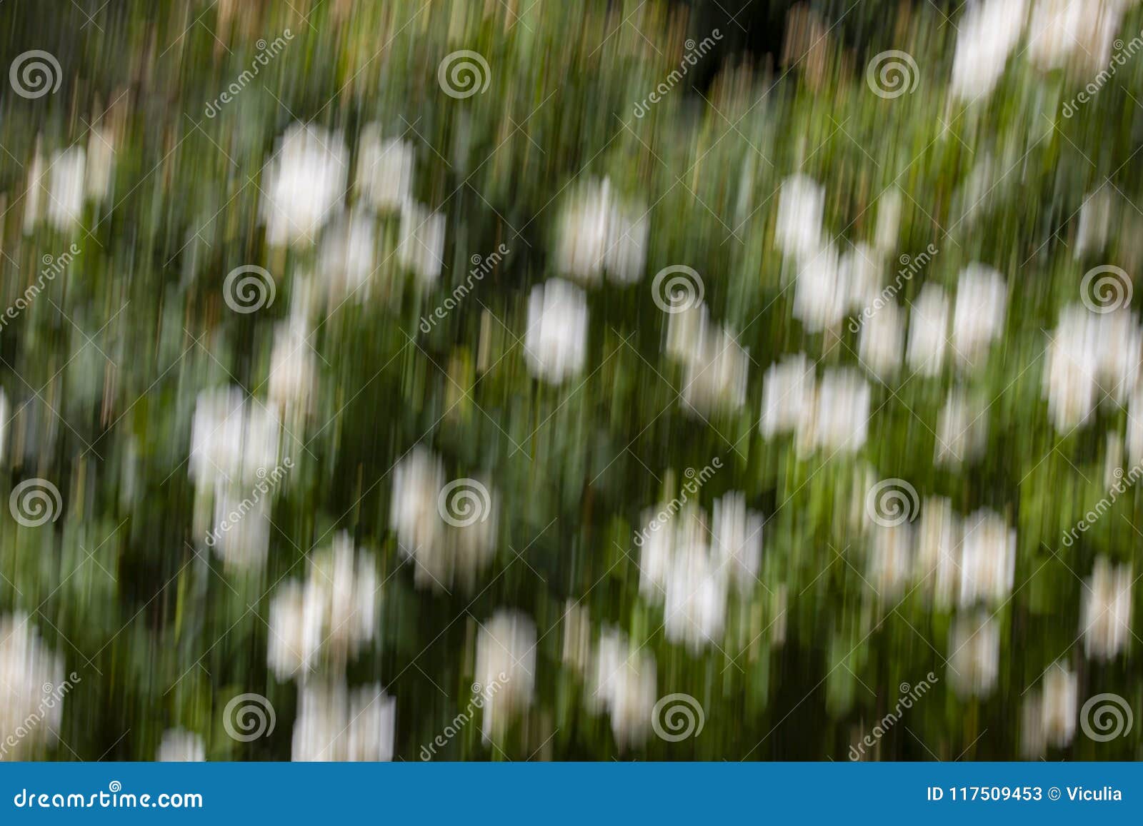 Abstract Motion Blur Effect. Spring Blurred Flowers. Stock Image ...