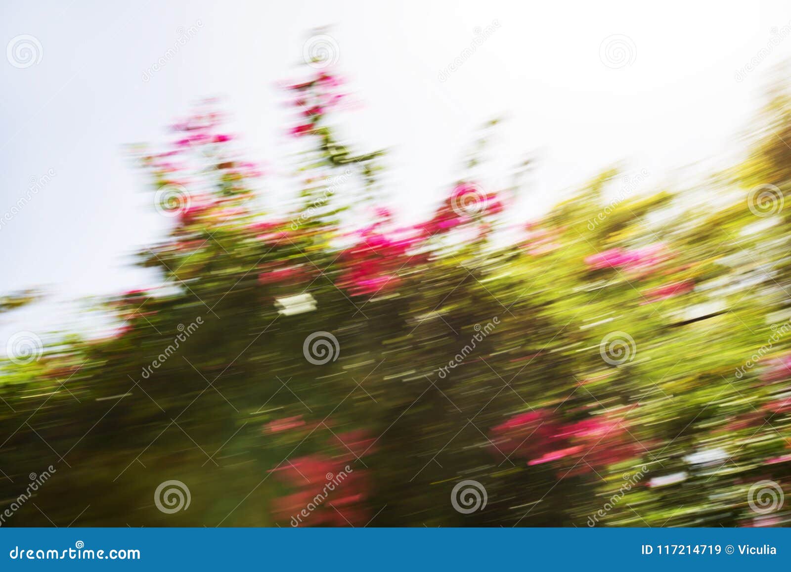 Abstract Motion Blur Effect. Spring Blurred Flowers Stock Image - Image ...
