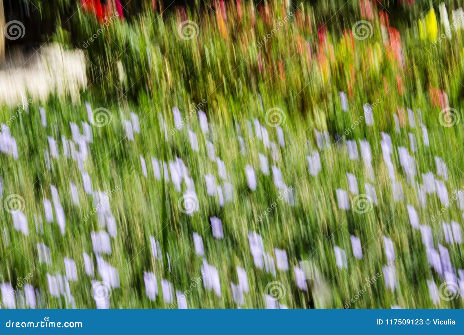 Abstract Motion Blur Effect. Spring Blurred Flowers Stock Image - Image ...