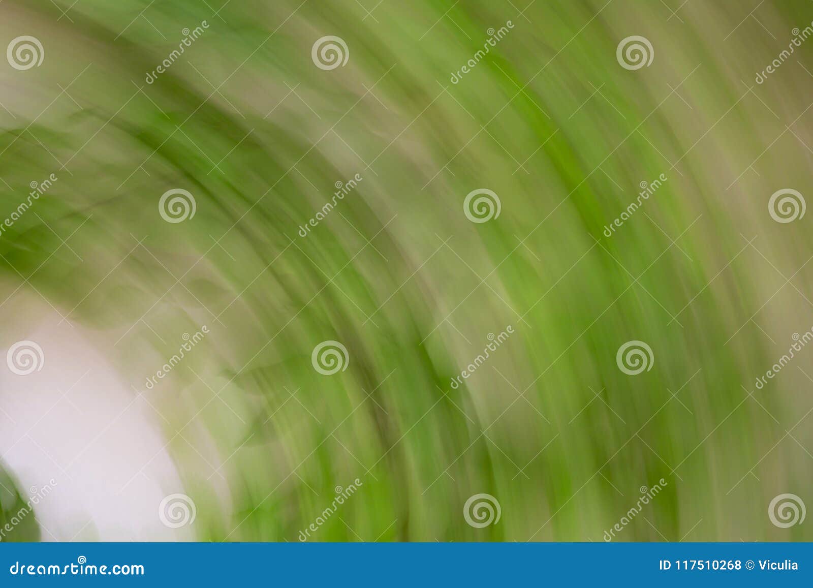 Abstract Motion Blur Effect. Spring Blurred Leaves Stock Photo - Image ...