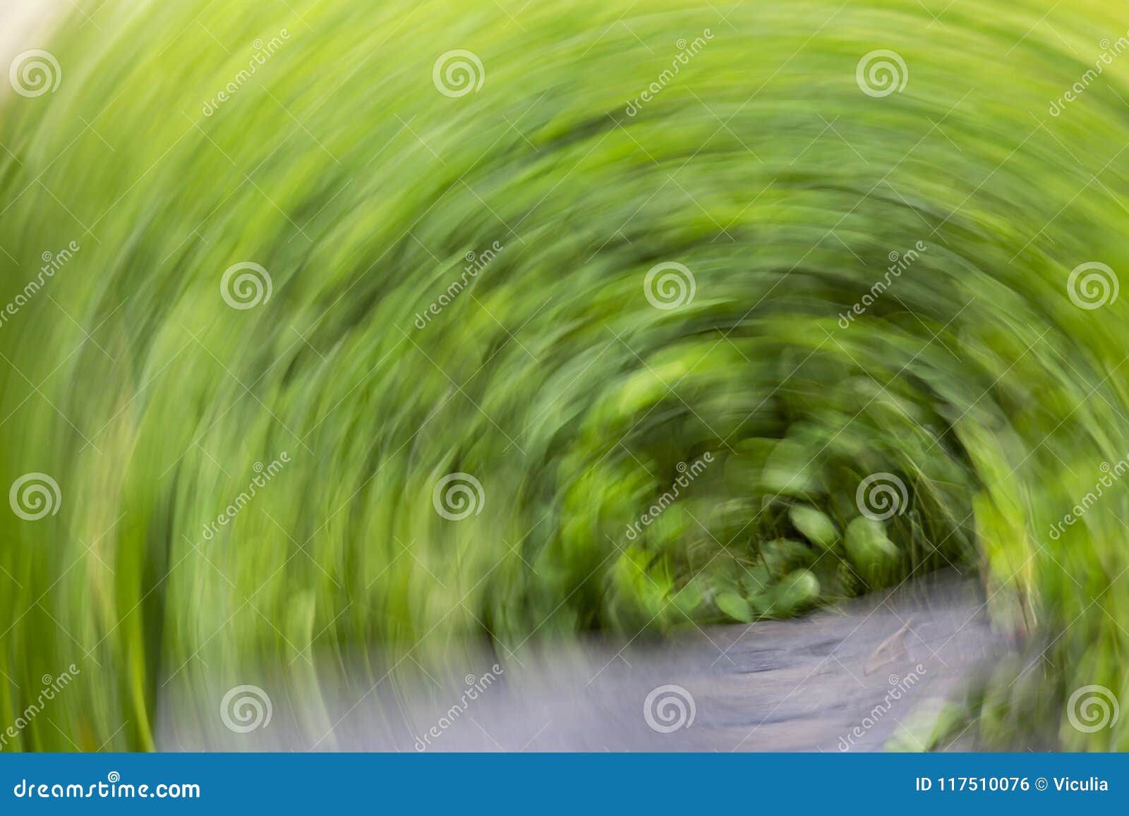 Abstract Motion Blur Effect. Spring Blurred Leaves Stock Photo - Image ...