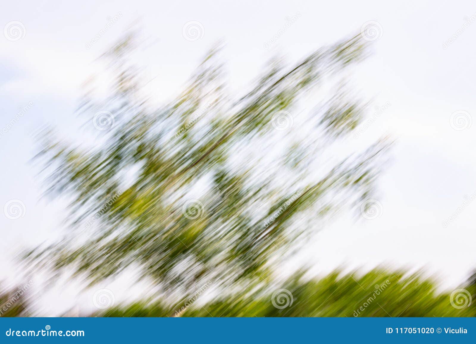 Abstract Motion Blur Effect. Spring Blurred Tree Stock Photo - Image of ...