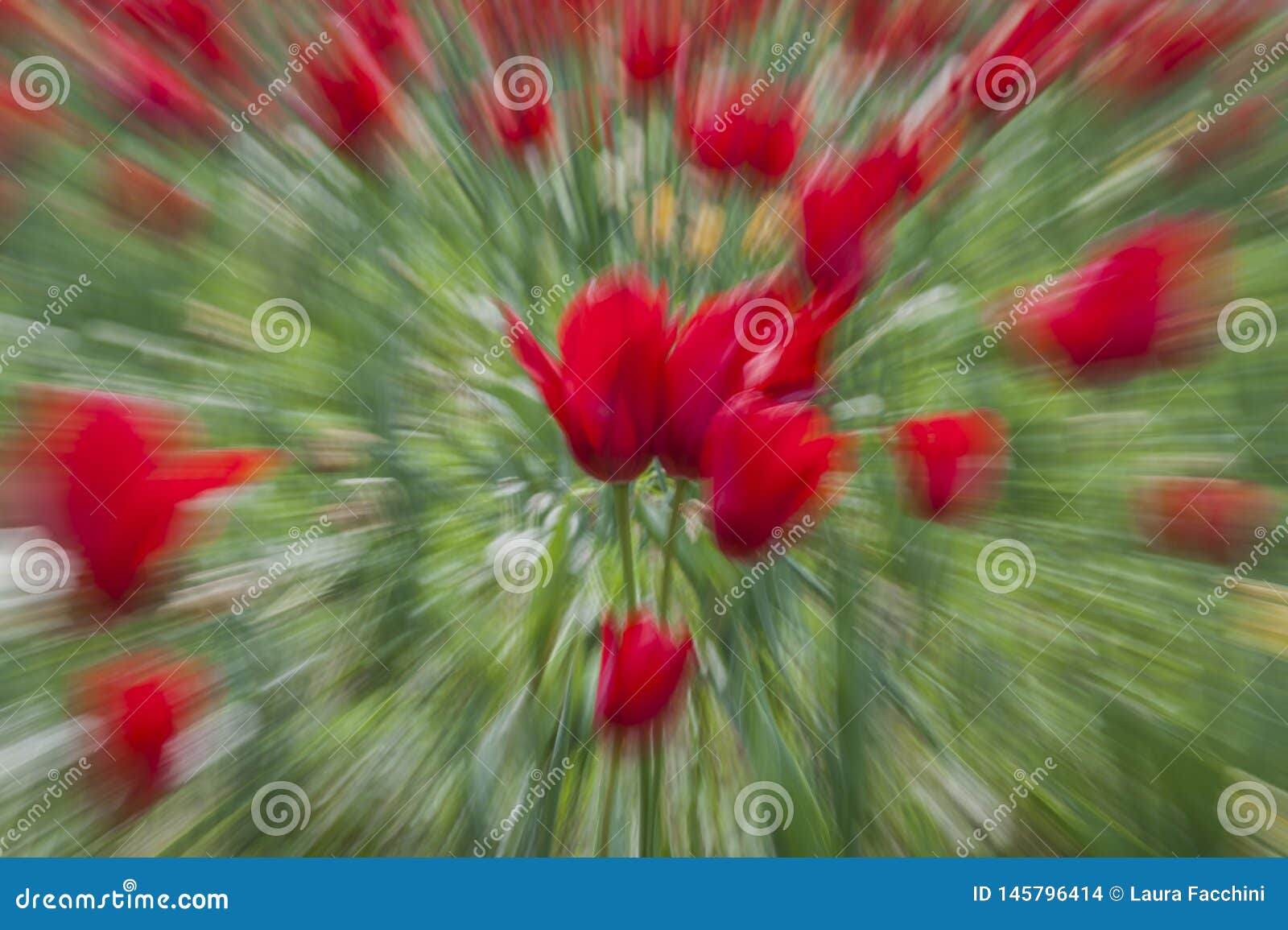Abstract Motion Blur of Flowers Tulips Stock Photo - Image of bright ...