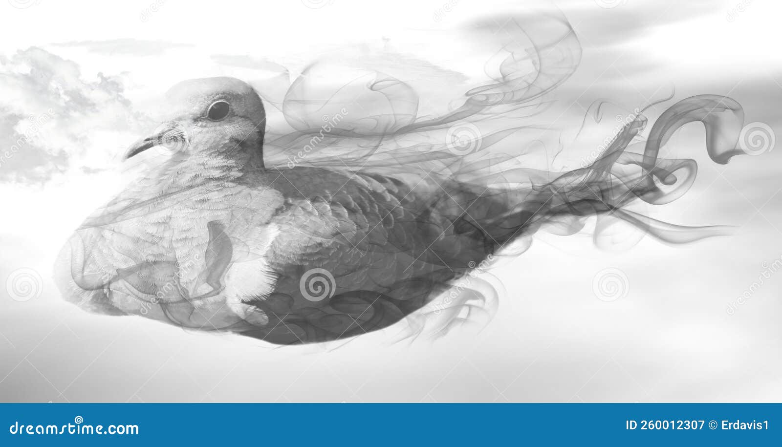 White Mourning Card With 3d Floral Ornament Effect Isolated On Grey ...