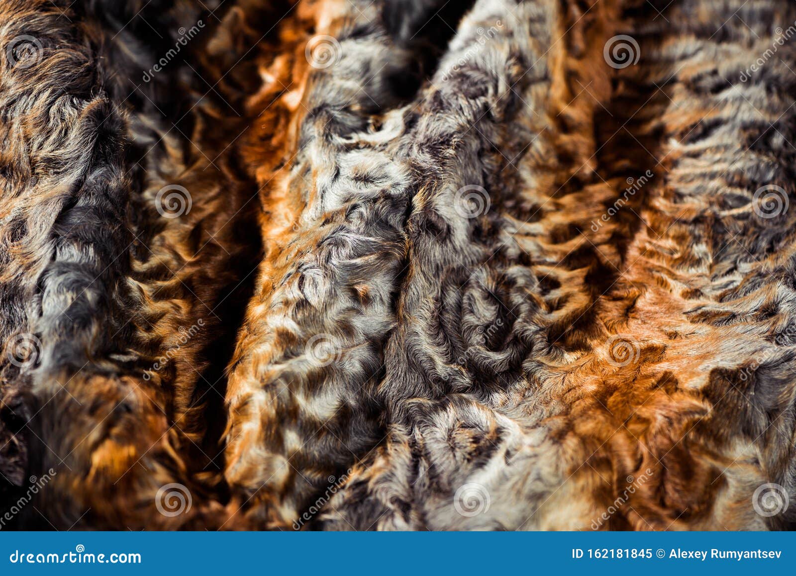 Abstract Multicolor Fur Texture Stock Image - Image of material, hair ...