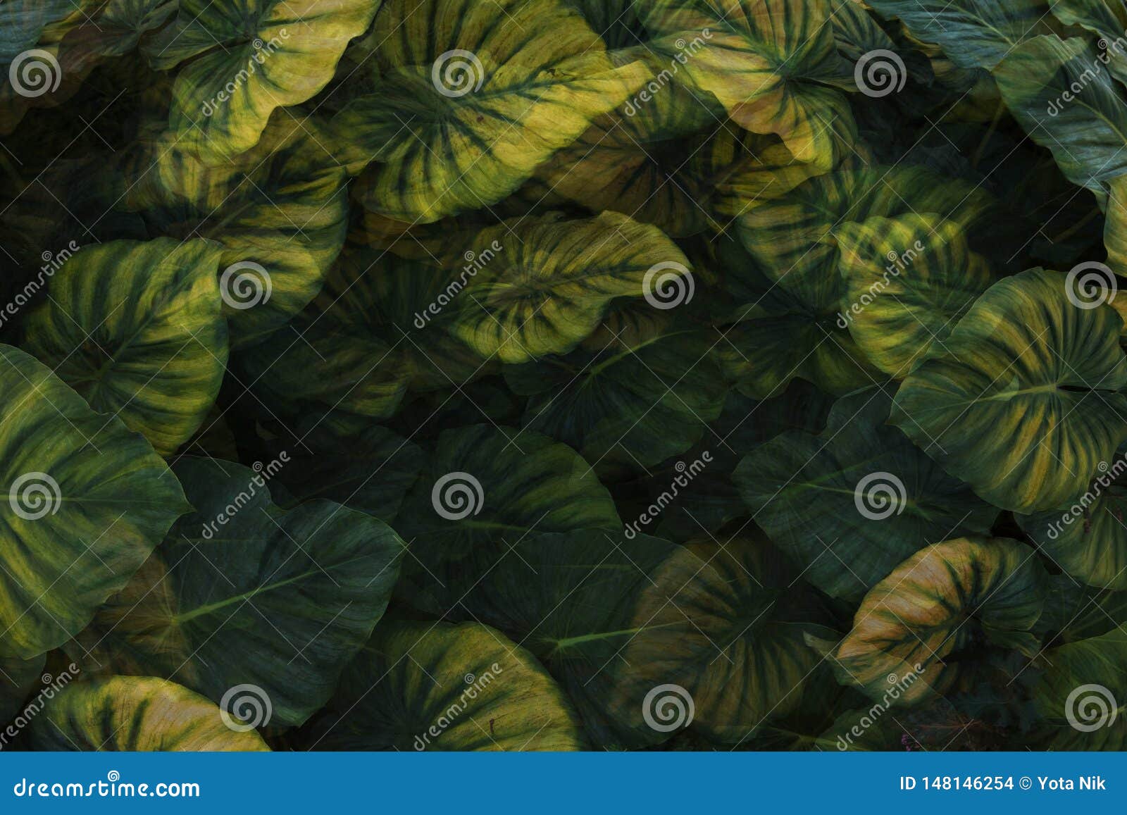 Abstract Multiple Leaves Green Nature Background Stock Photo - Image of ...