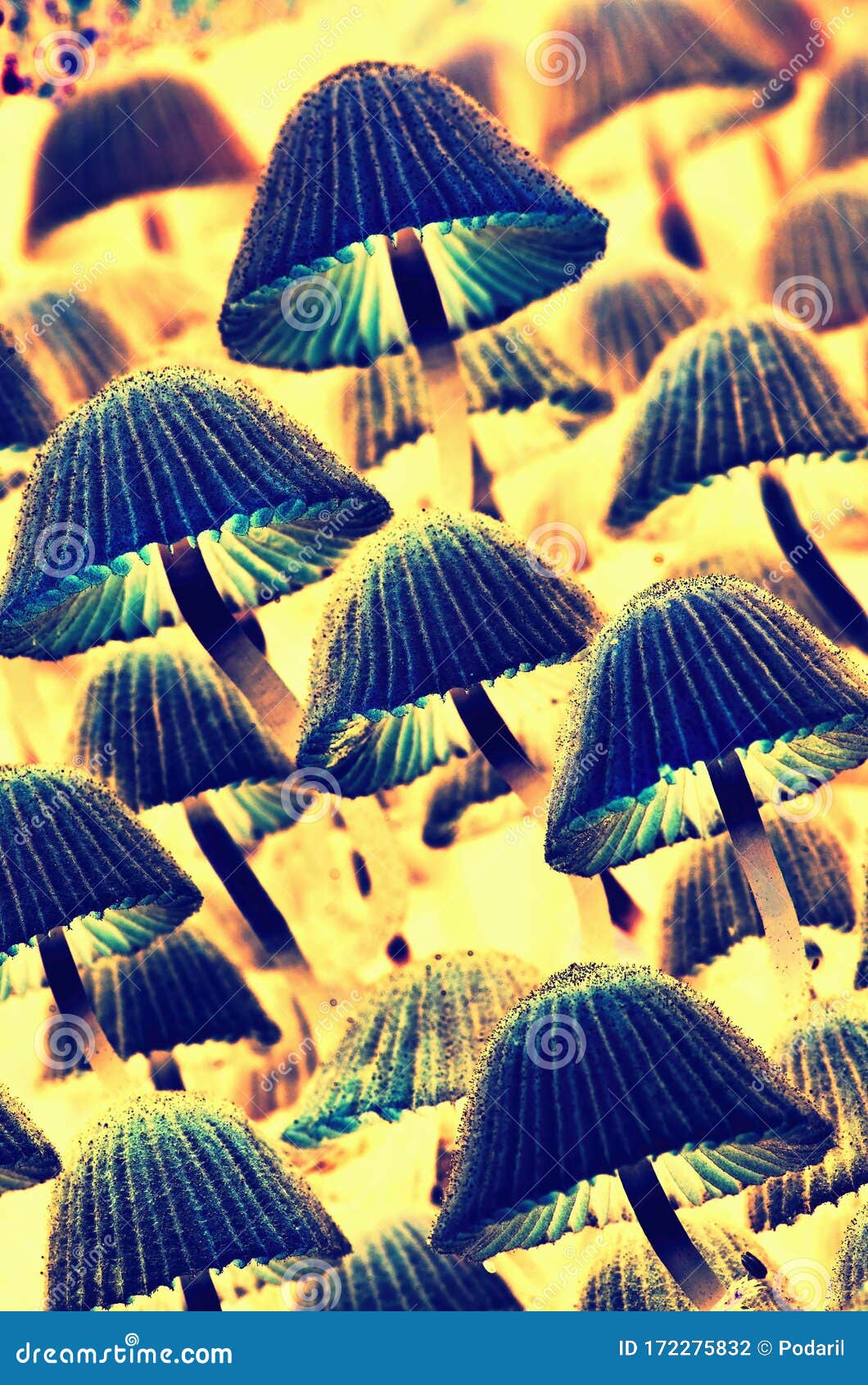 Abstract mushrooms stock photo. Image of decor, abstraction - 172275832