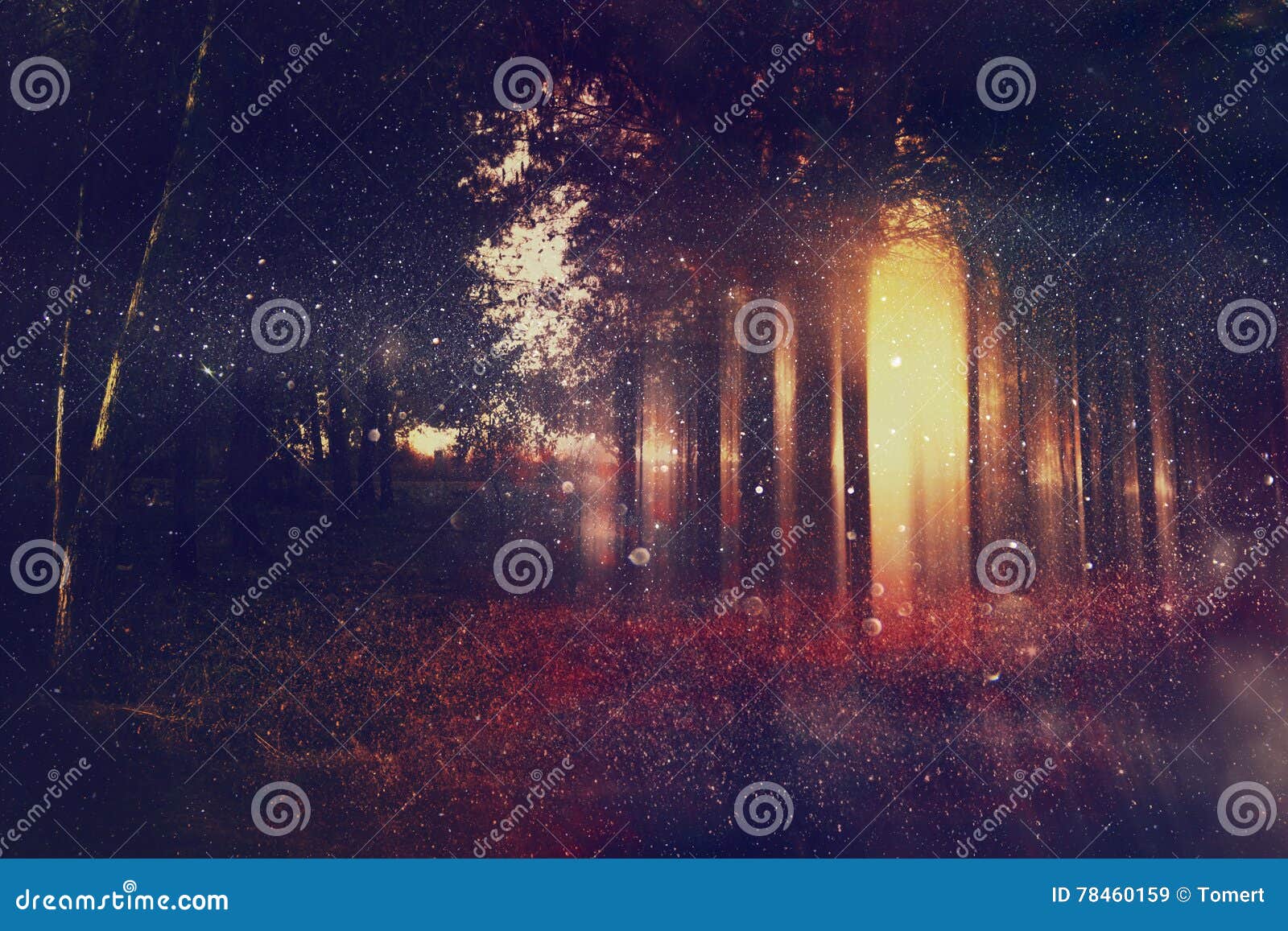 Abstract and Mysterious Background of Blurred Forest Stock Illustration ...