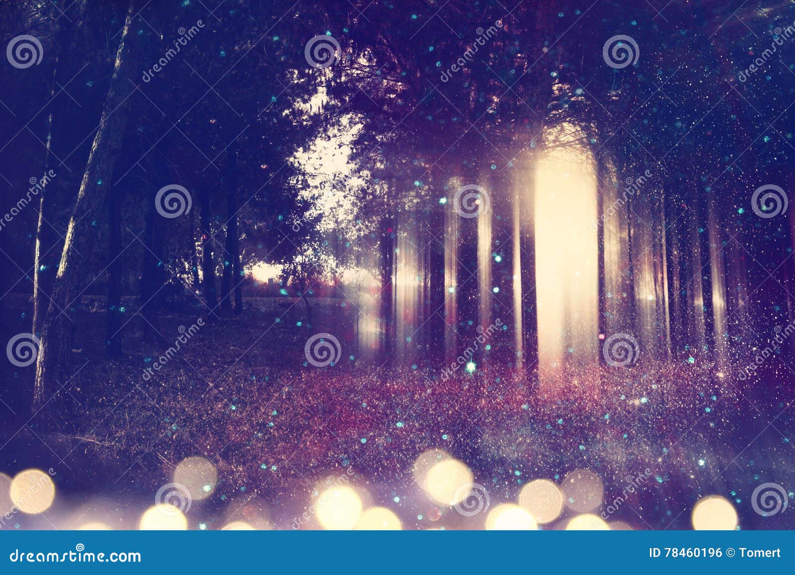 Abstract and Mysterious Background of Blurred Forest Stock Photo ...