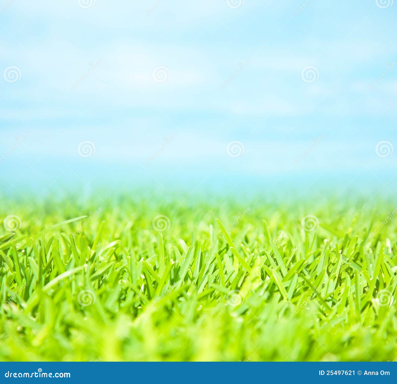Abstract Natural Background Stock Image - Image of color, grass: 25497621
