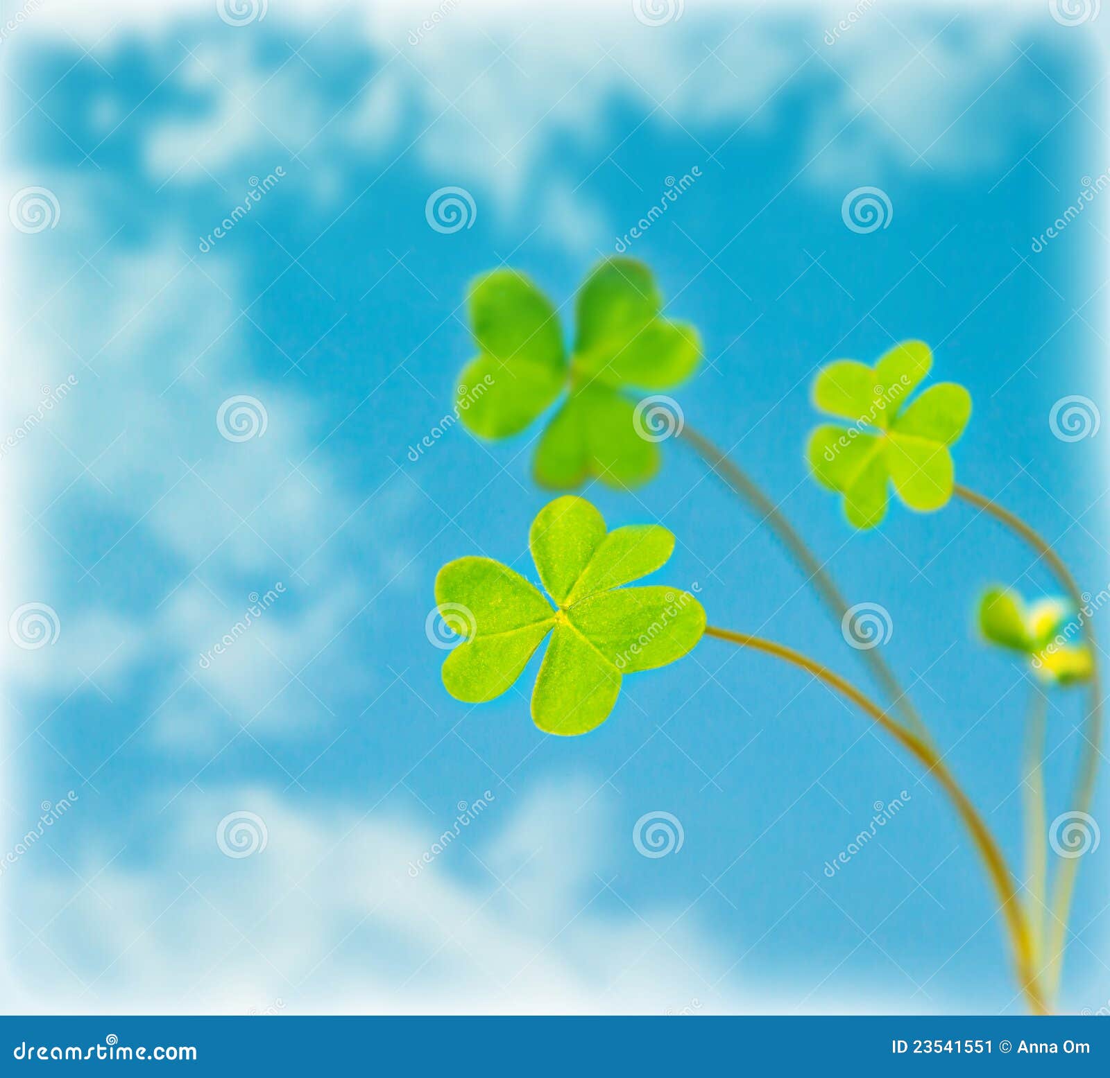 Abstract Natural Background, Clover Over Sky Stock Image - Image of ...