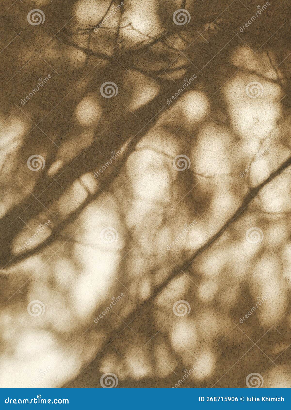 Abstract Natural Background. Tree Shadows on a Beige Wall Stock Photo ...