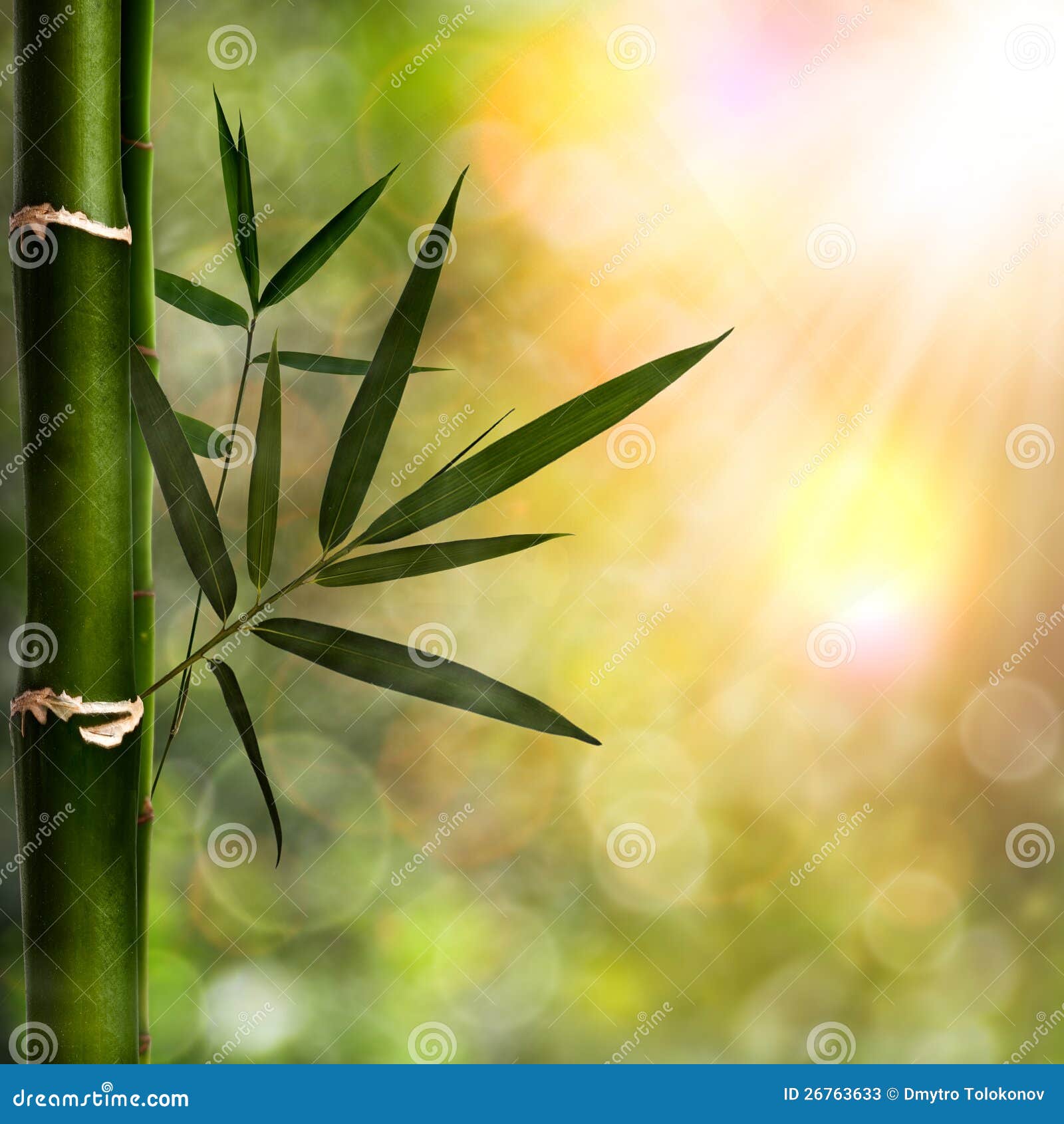 Abstract Natural Backgrounds Stock Image - Image of abstract, pure ...