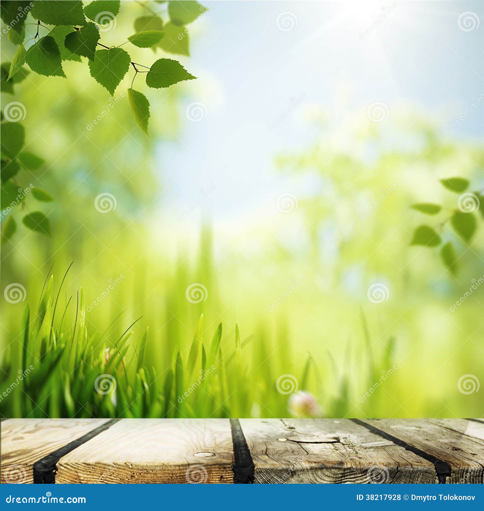 Natural Backgrounds With Fresh Green Fern Leaves. Stock Image ...