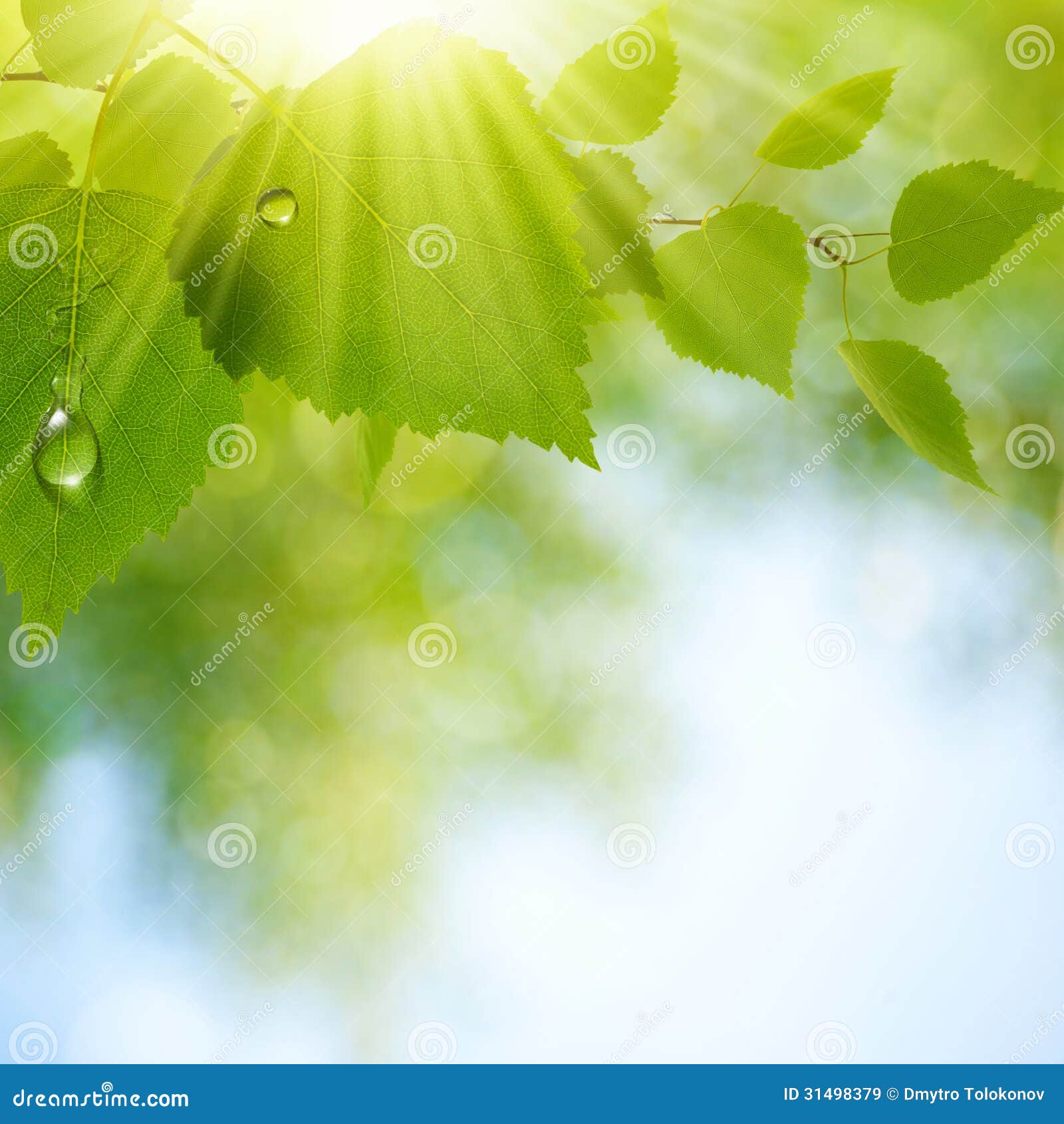 Abstract Natural Backgrounds Royalty Free Stock Images - Image: 31498379