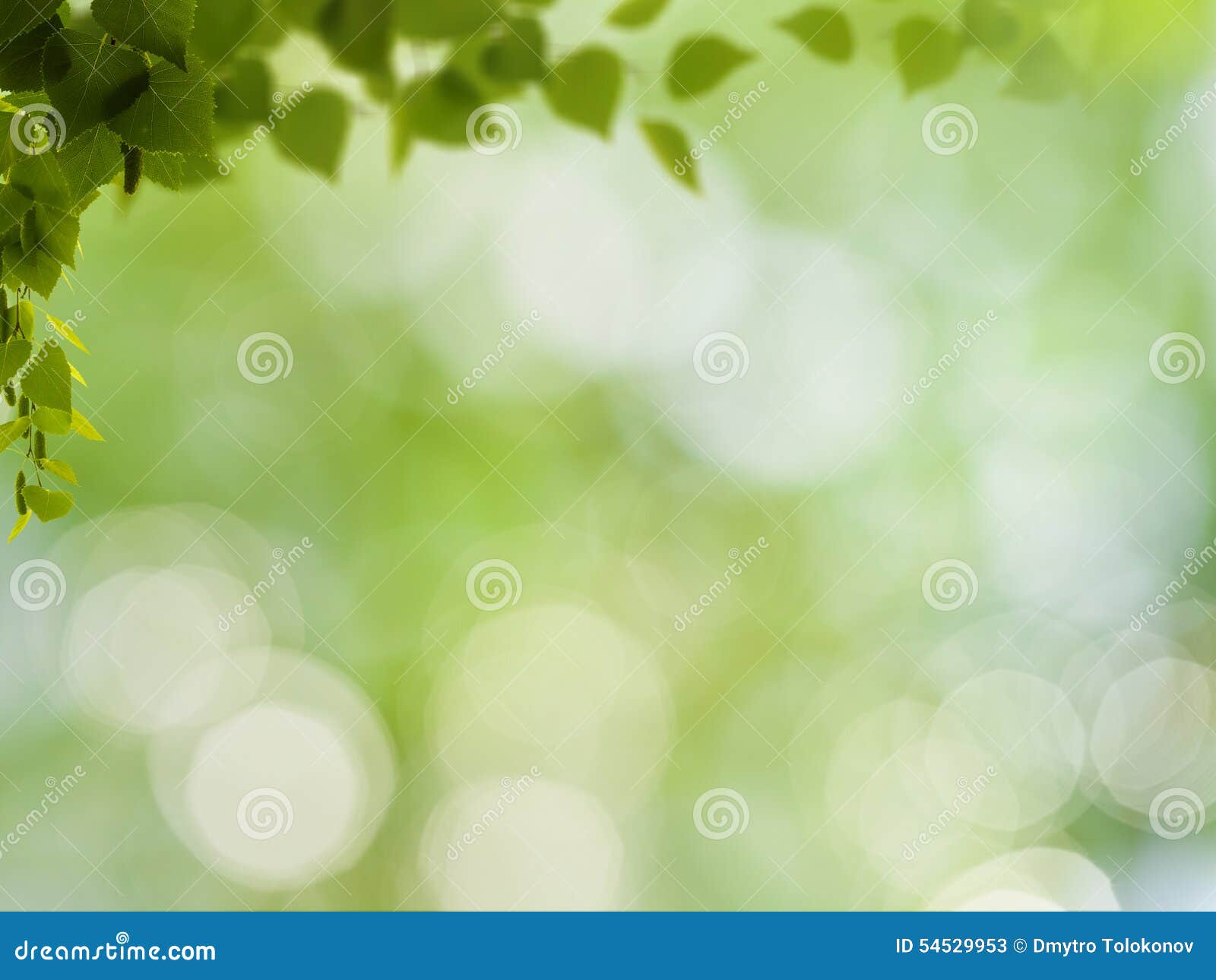 Natural Natural Backgrounds And Textures. Royalty-Free Stock ...