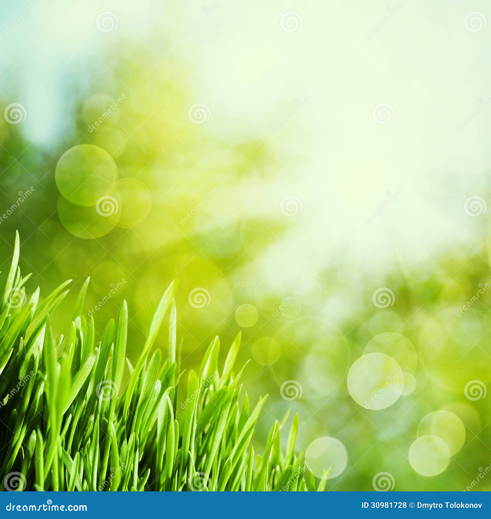 Abstract Natural Backgrounds Stock Photo - Image of light, garden: 30981728