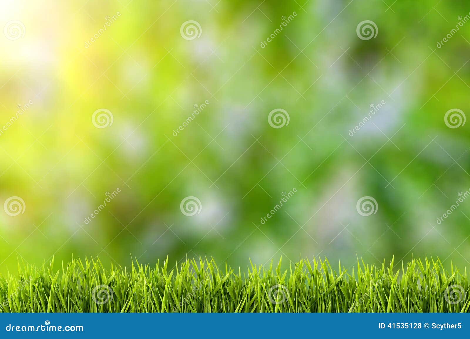 Abstract Natural Backgrounds on Green Grass. Stock Photo - Image of ...