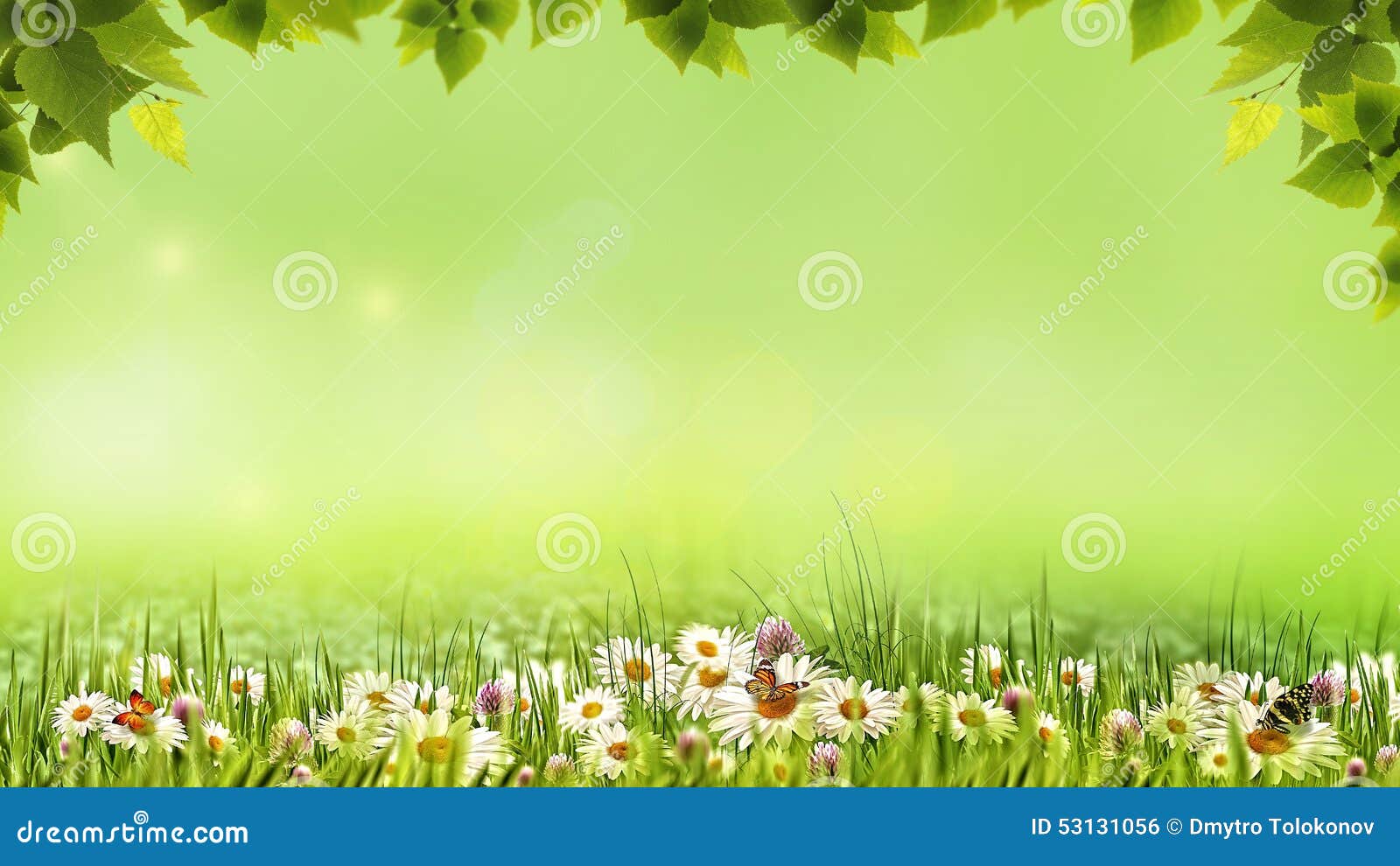 Abstract Natural Backgrounds Stock Photo - Image of abstract, flare ...