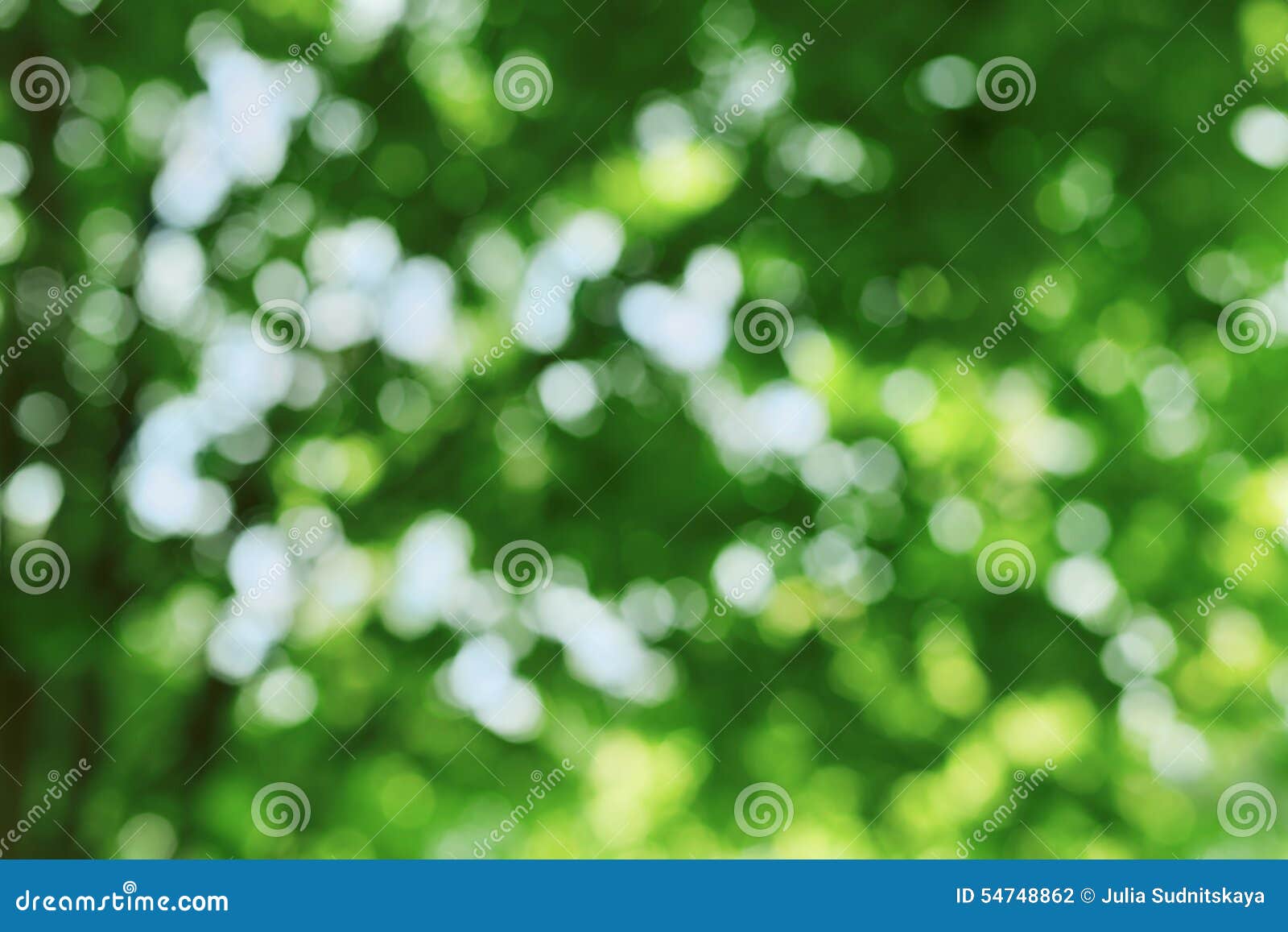 Abstract Natural Blur Background, Defocused Leaves, Green Bokeh Stock ...