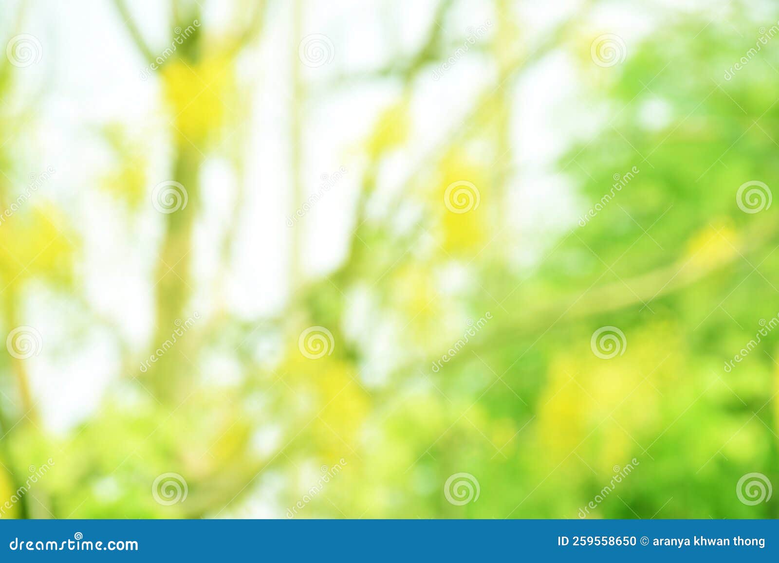 Abstract, Natural Blur, Textures and Patterns Green, Yellow, White for ...