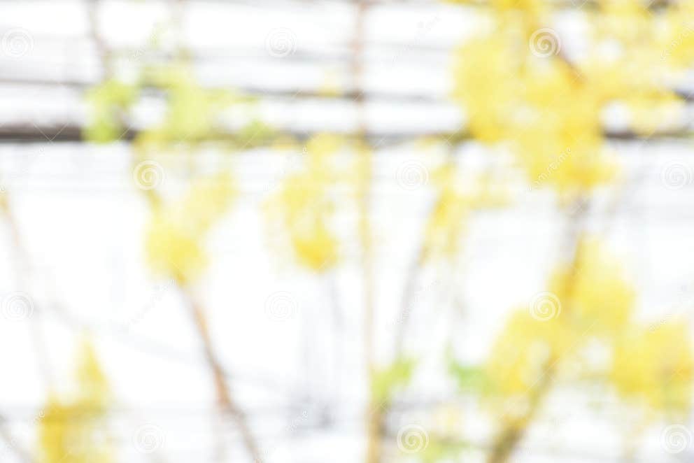 Abstract, Natural Blur, Textures and Patterns Yellow, White for ...