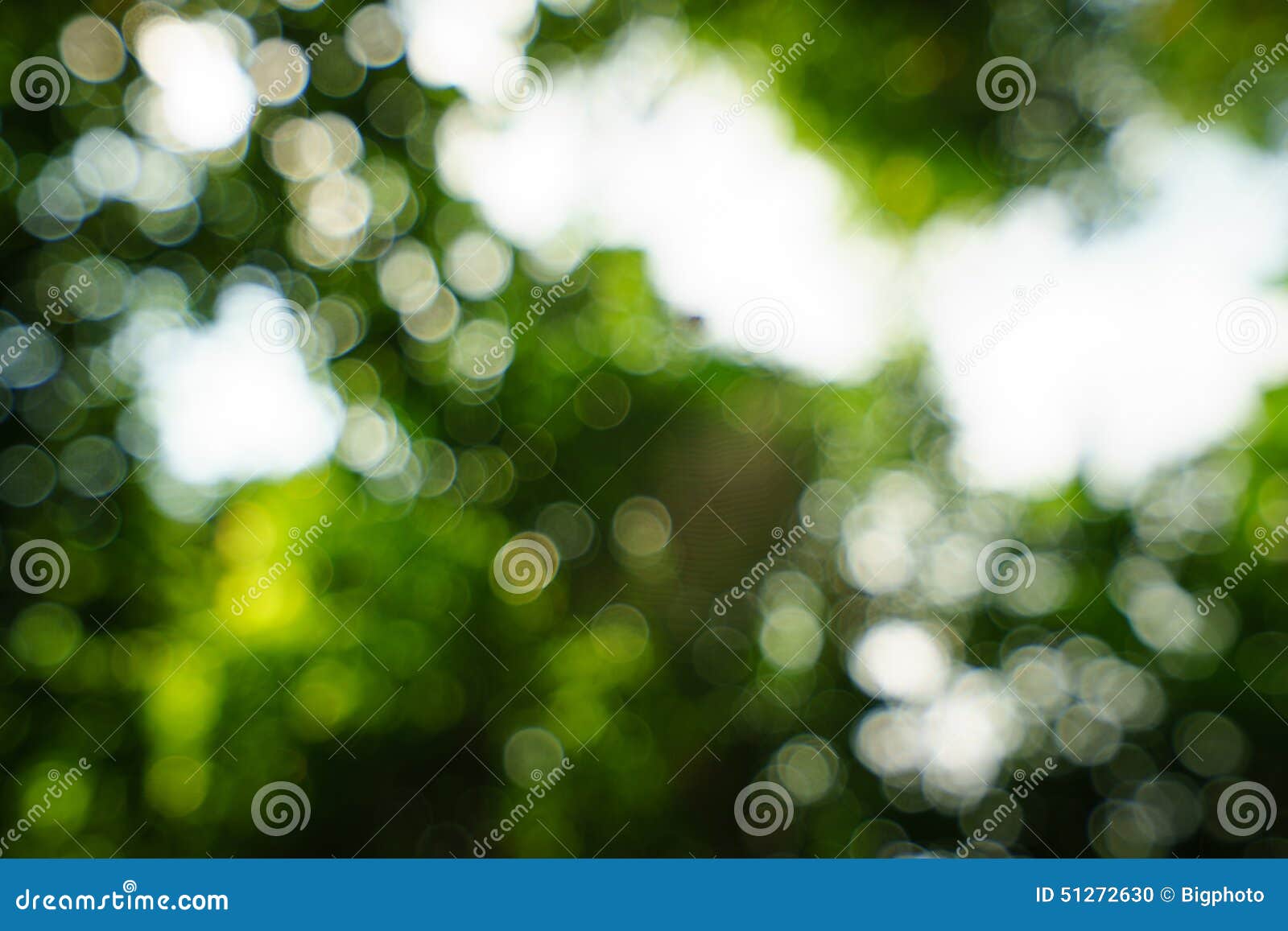 Abstract Natural Color Background. Natural Bokeh Stock Photo - Image of ...