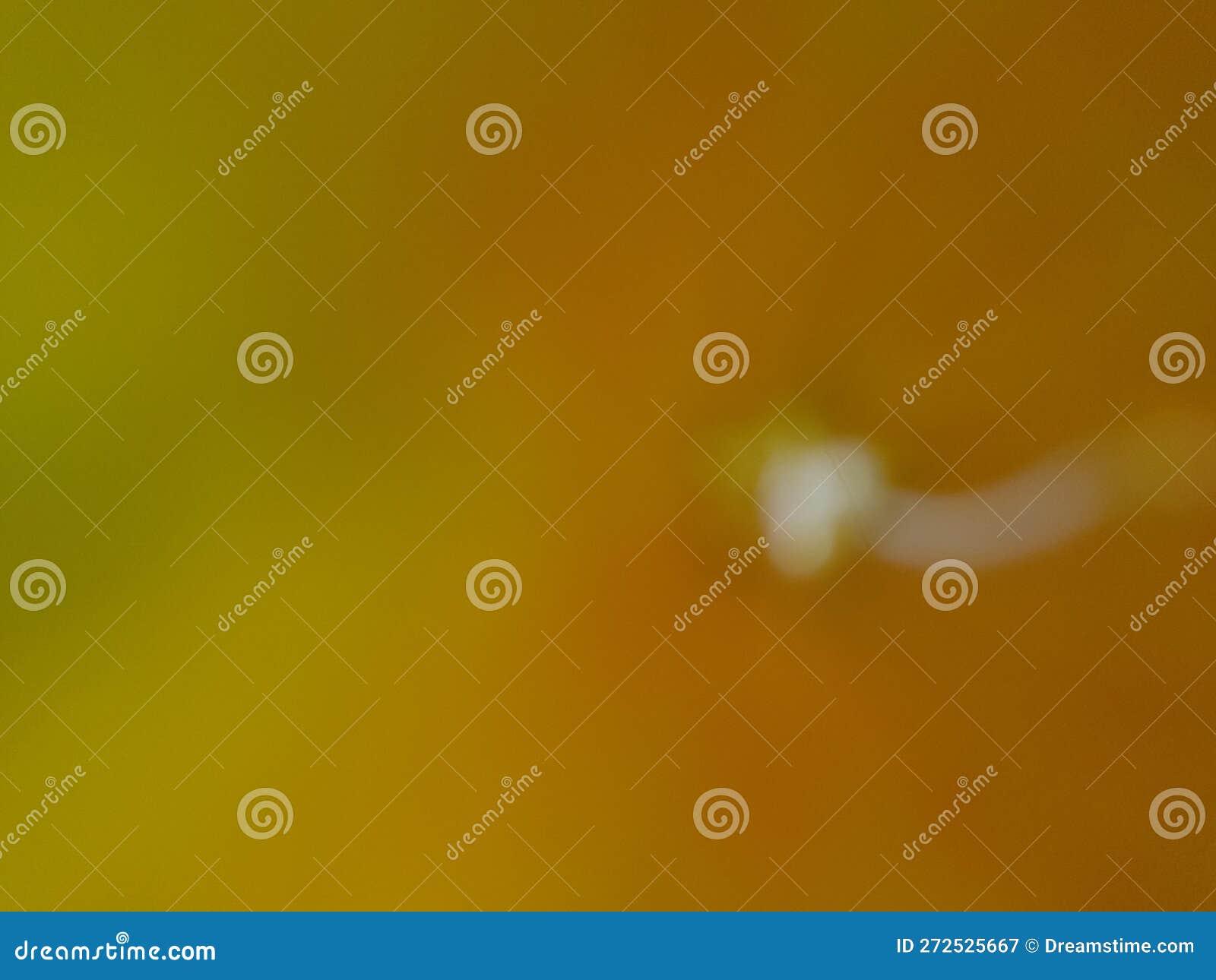Abstract Natural Color Gradient Blurred Background. Minimal Blurred ...