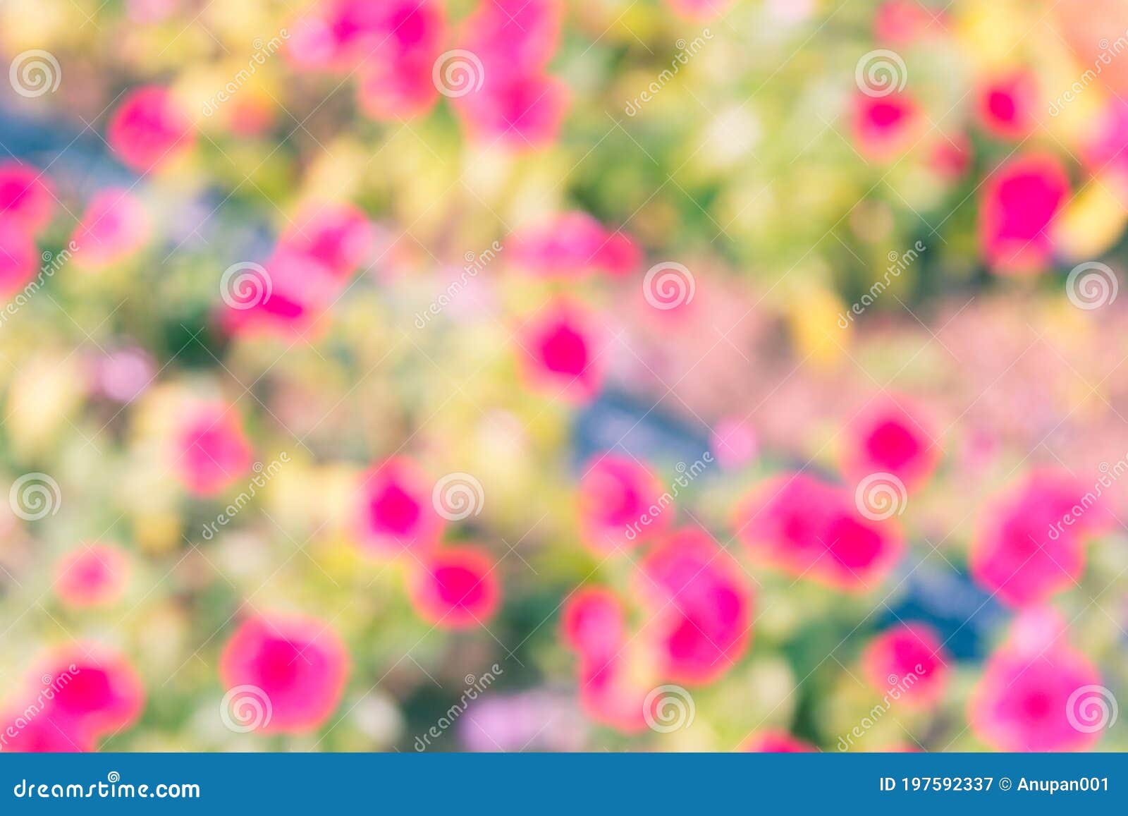 Abstract Natural Colorful Background Stock Image - Image of light ...