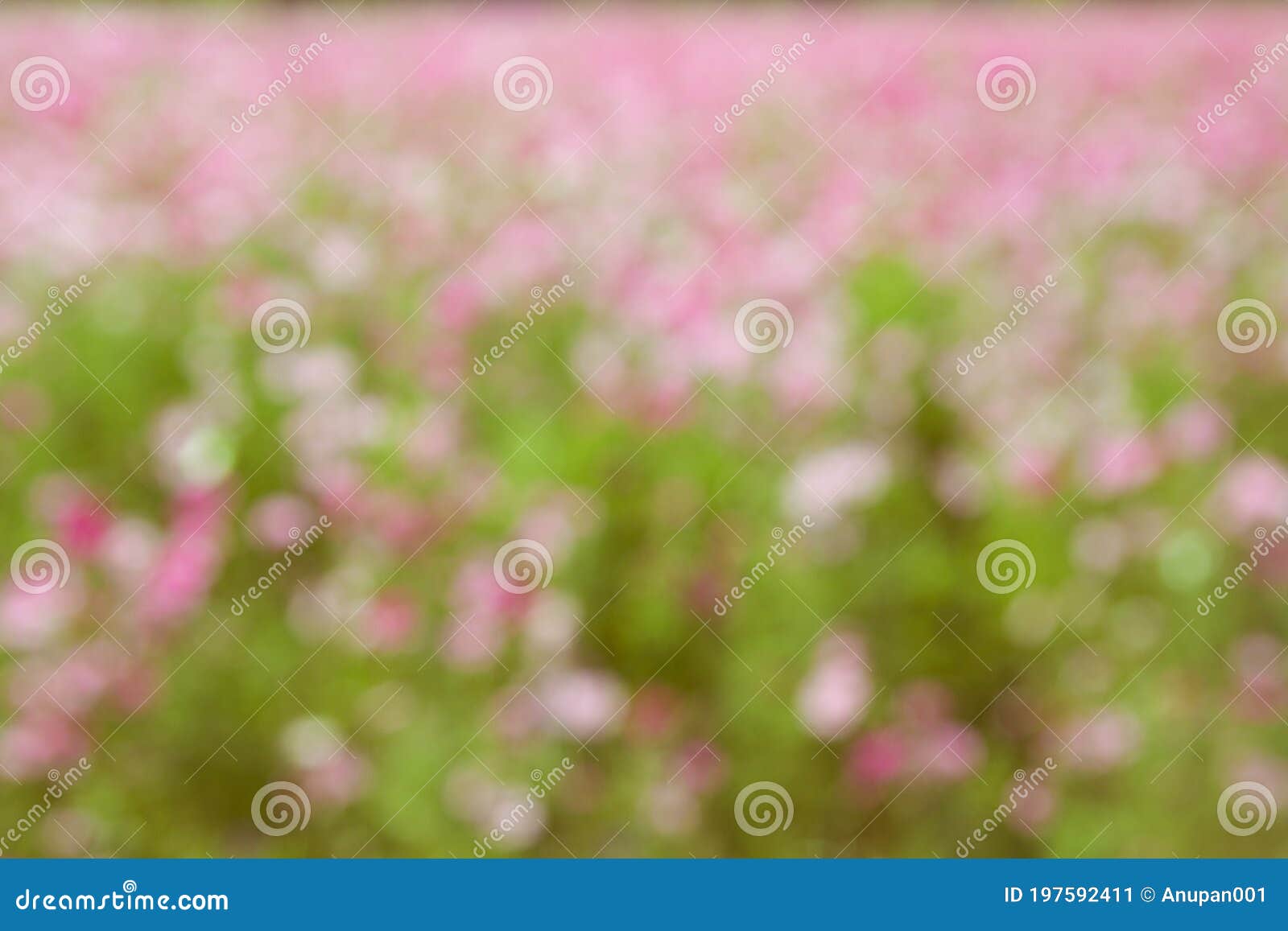 Abstract Natural Colorful Background Stock Image - Image of foliage ...