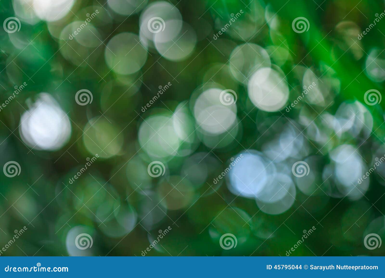Abstract Natural Green Blurred Background Stock Photo - Image of light ...