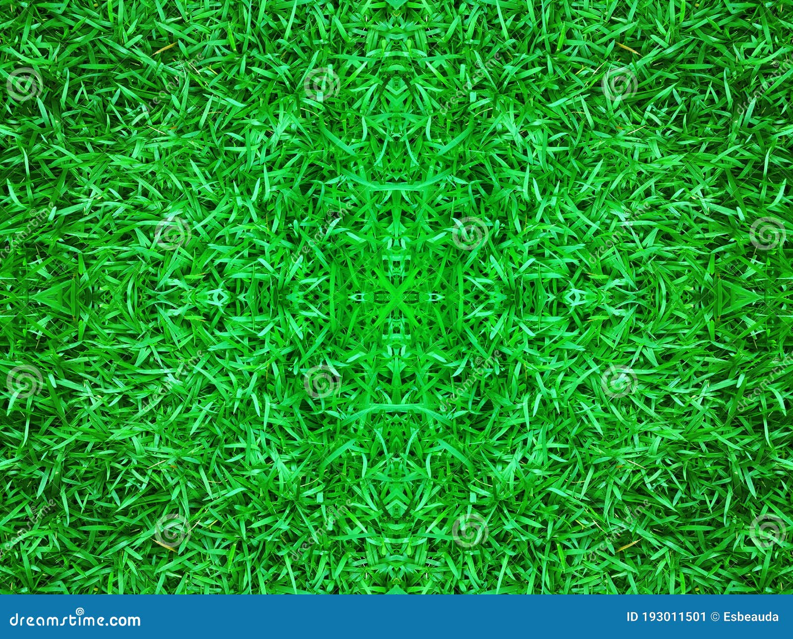 Abstract Green Grass Background Stock Image - Image of texture ...