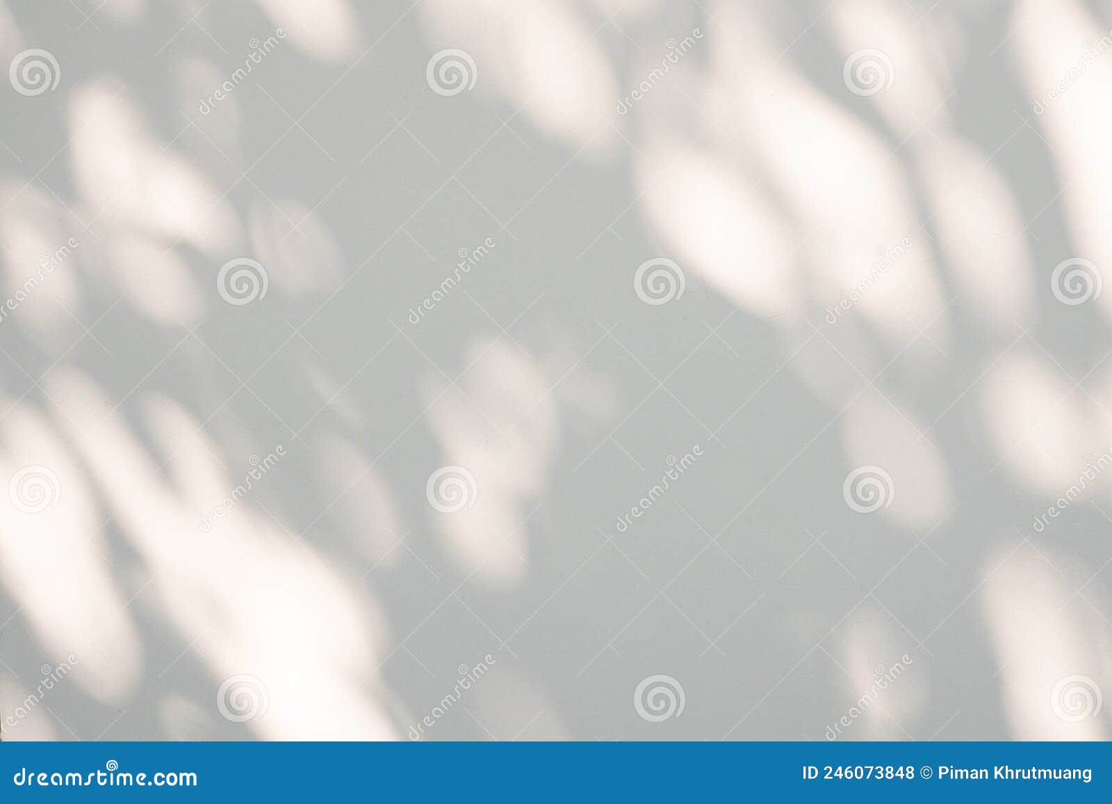 Abstract Natural Tree Leaves Shadow on White Wall Background Stock ...