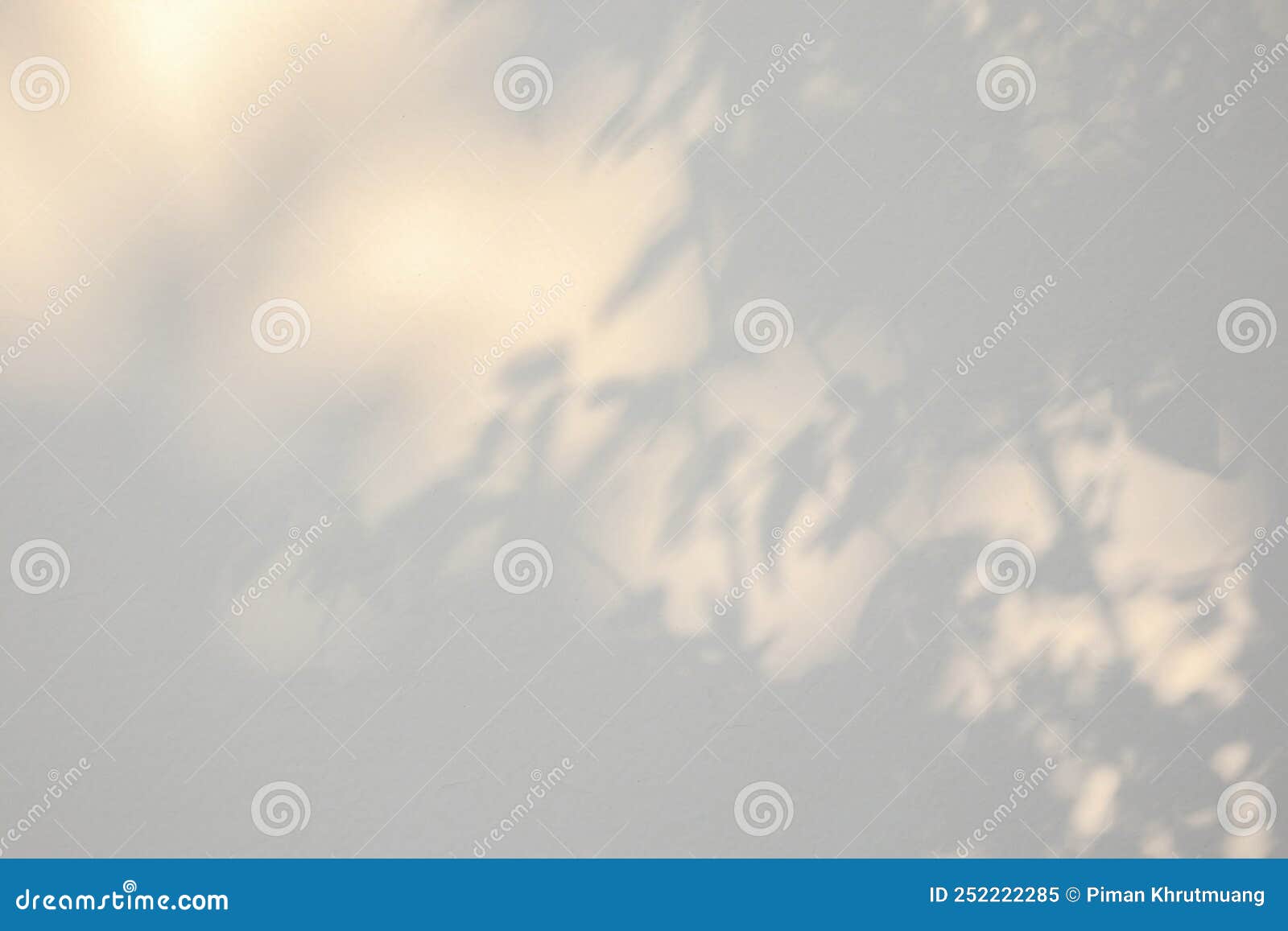 Abstract Natural Tree Leaves Shadow on White Wall Background Stock ...