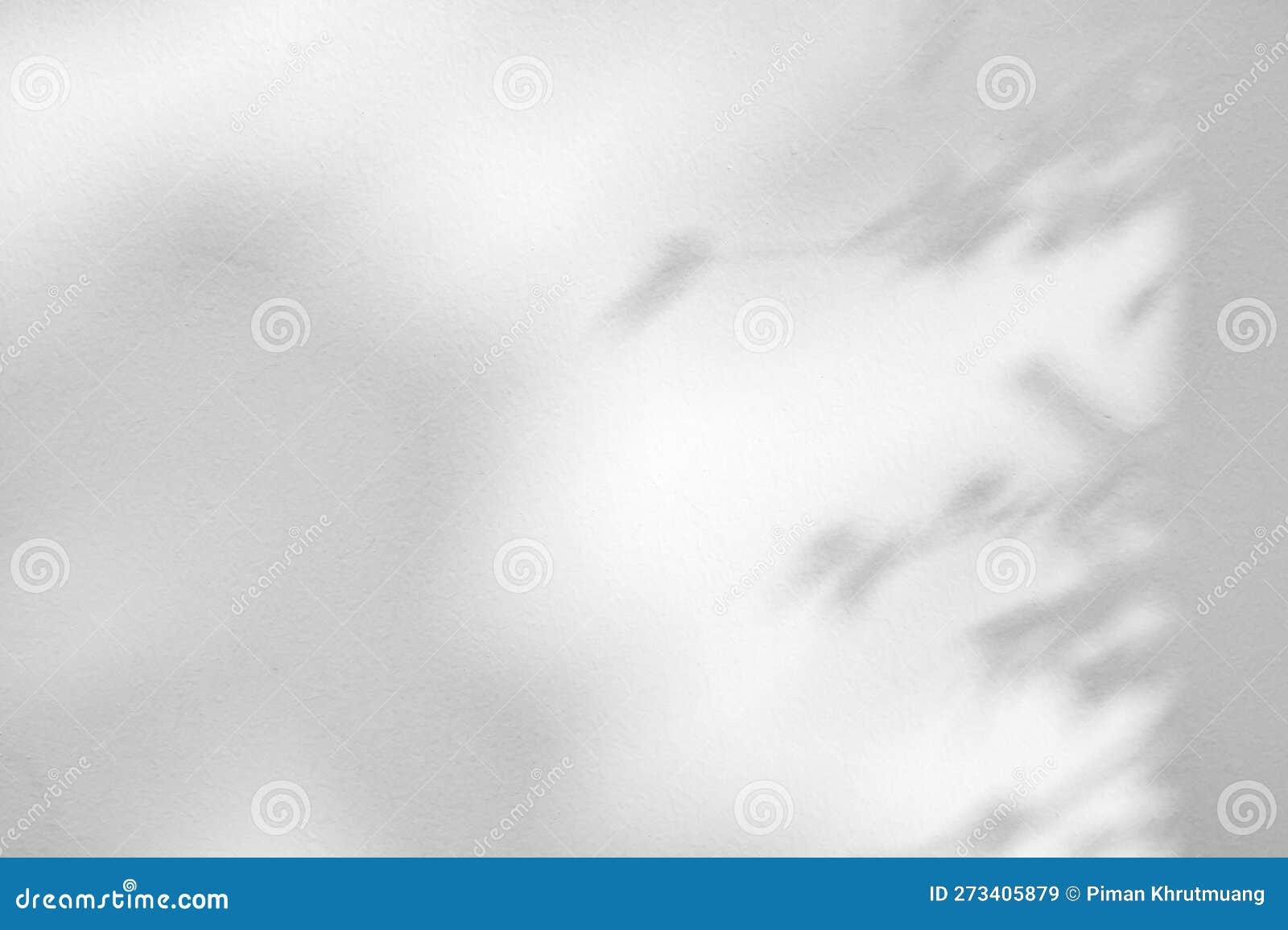 Abstract Natural Tree Leaves Shadow on White Wall Background Stock ...