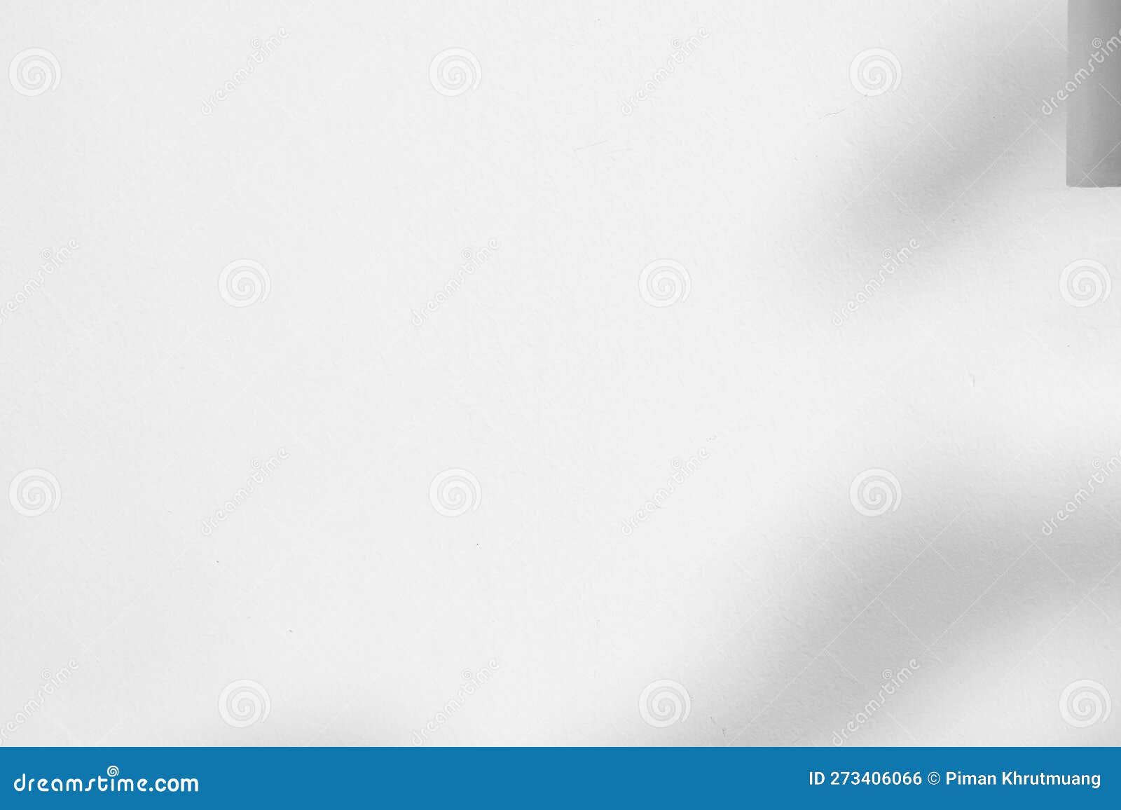 Abstract Natural Tree Leaves Shadow on White Wall Background Stock ...