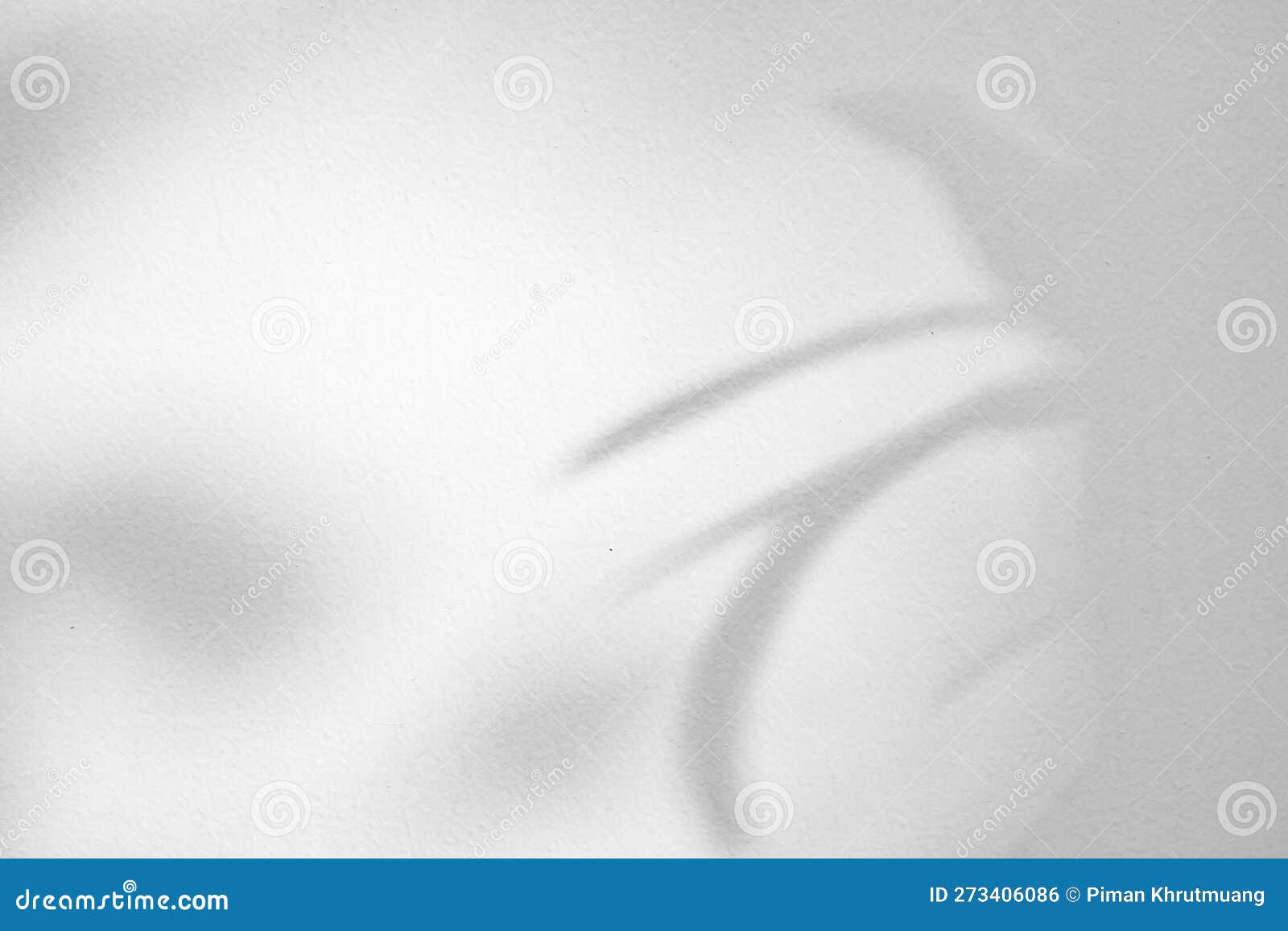 Abstract Natural Tree Leaves Shadow on White Wall Background Stock ...
