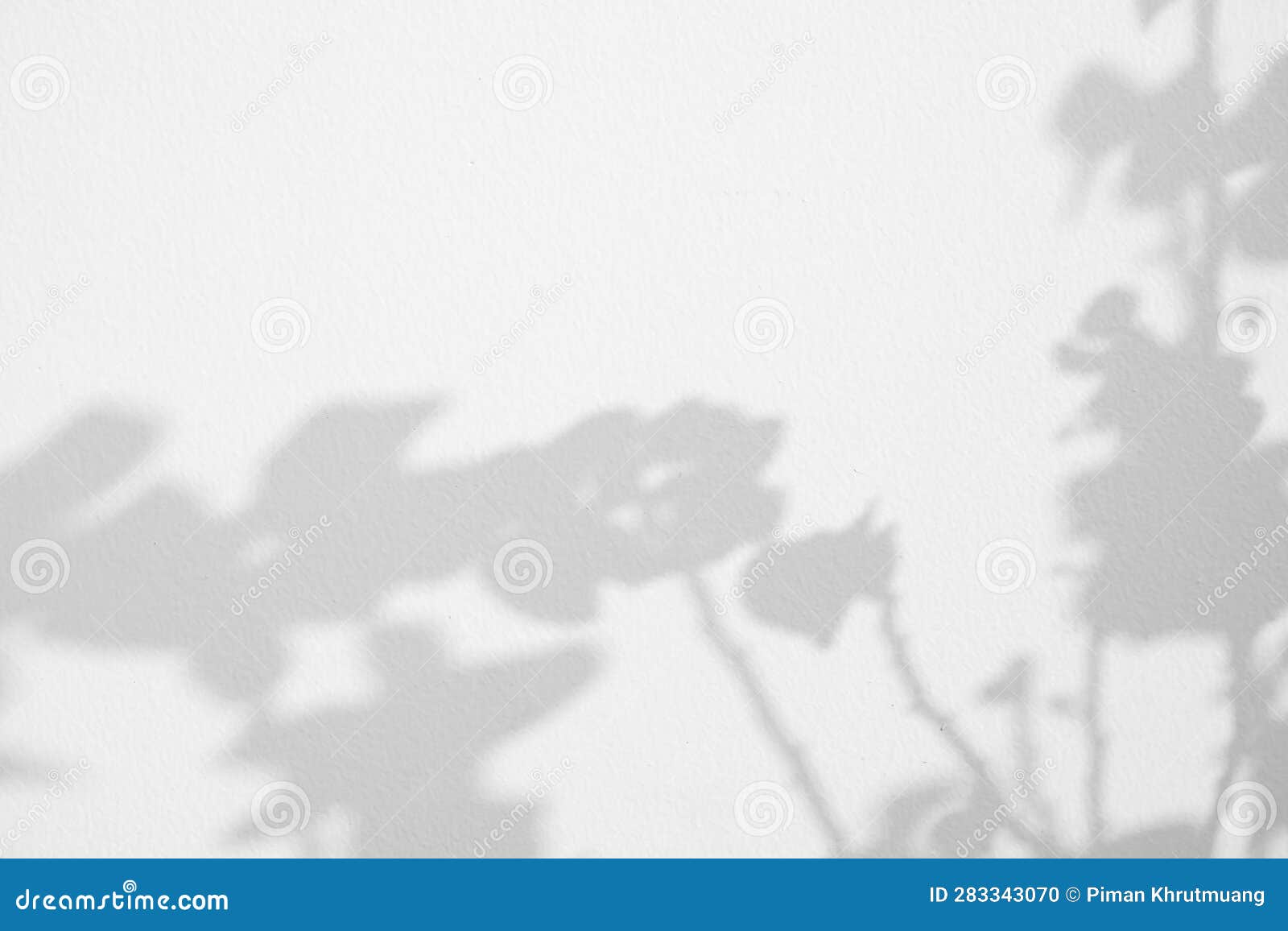 Abstract Natural Tree Leaves Shadow on White Wall Background Stock ...